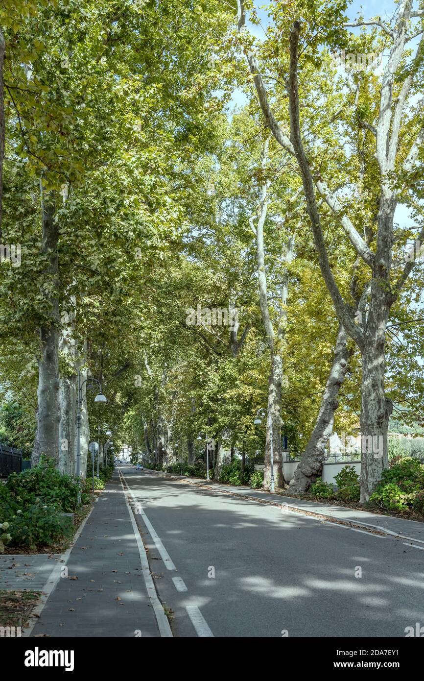 Sycamore street hi-res stock photography and images - Alamy
