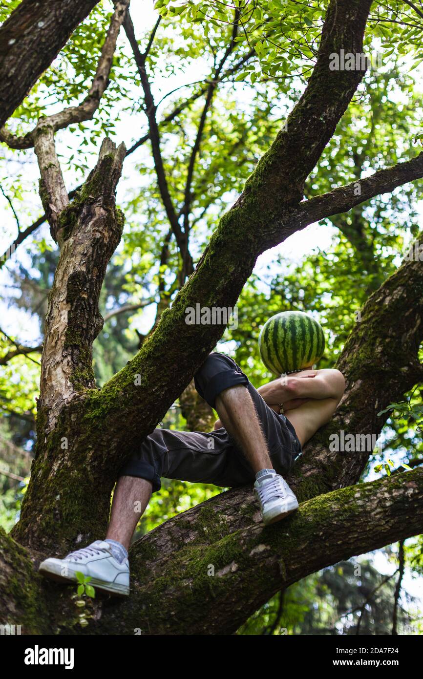 Organic food and healthy lifestyle concept. Humorous ironic photo of a ...