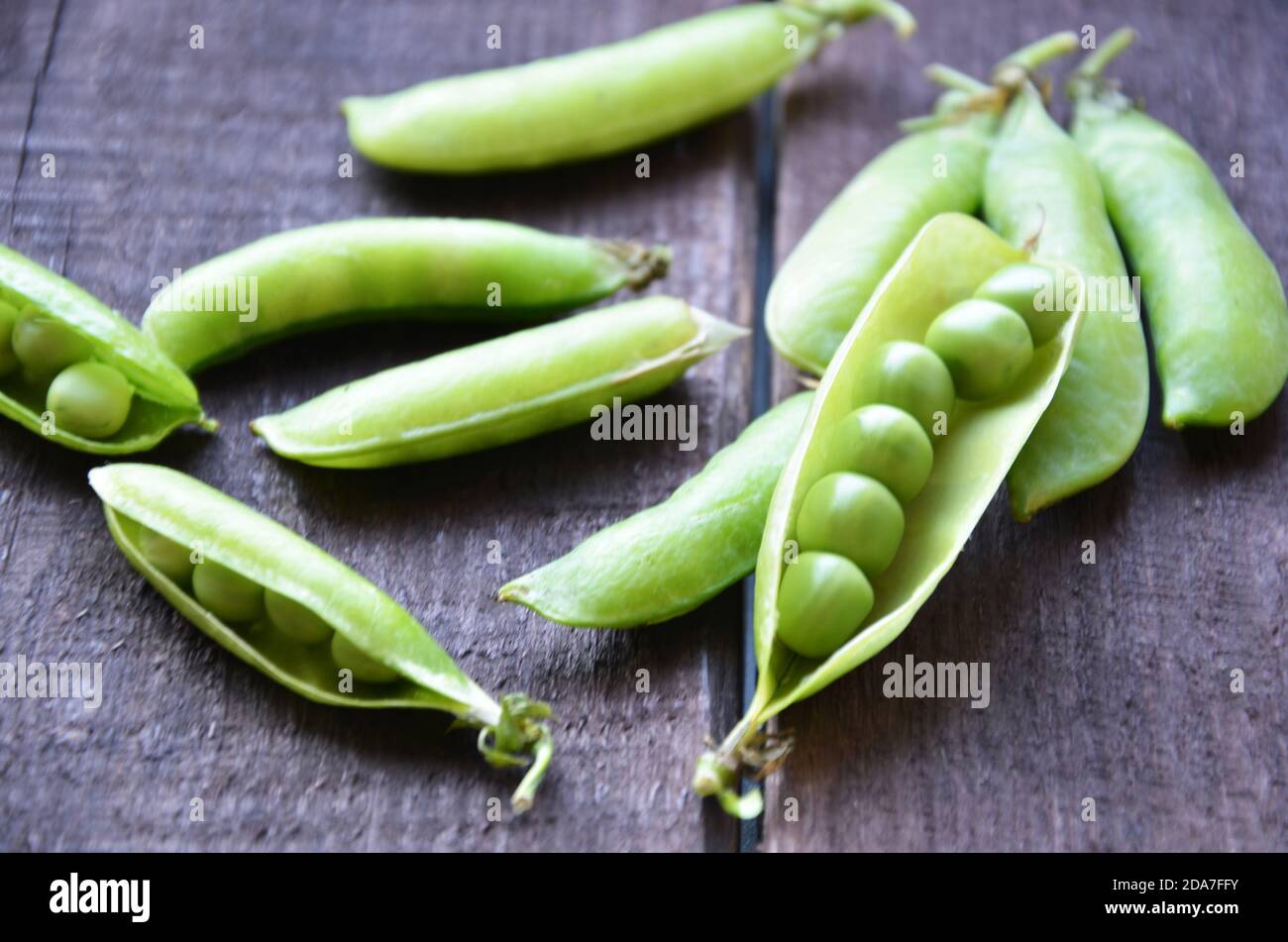 fresh green peas, just harvest. close up view of opened pod. spring ...