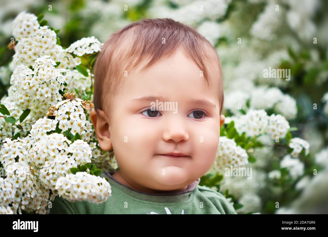 A little boy in the spring among the flowers Stock Photo - Alamy