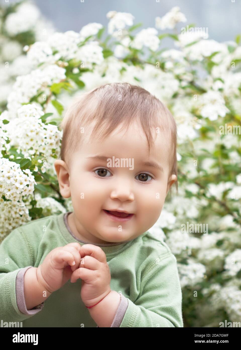 A little boy in the spring among the flowers Stock Photo - Alamy