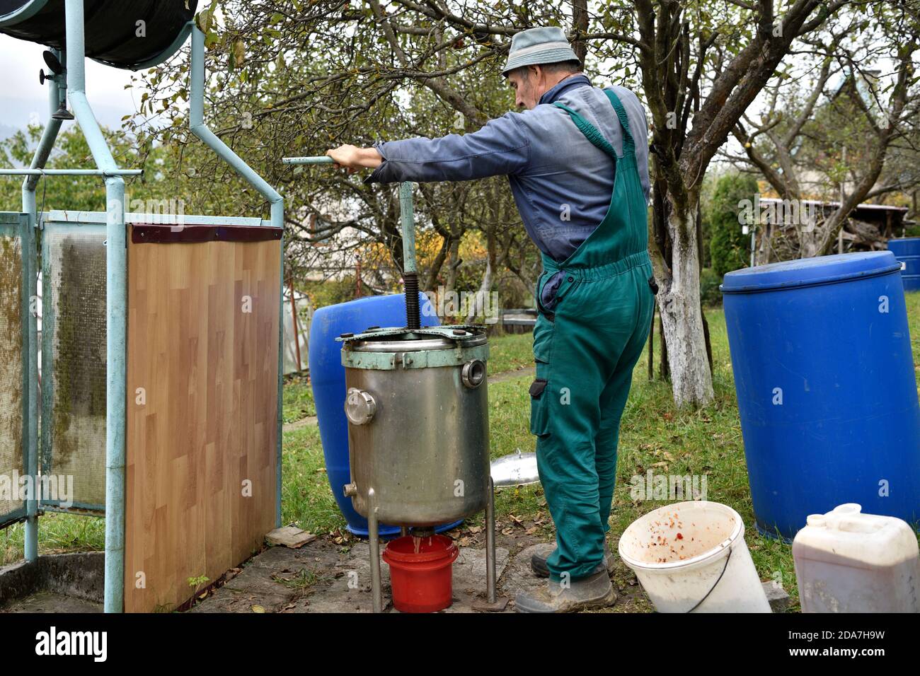 The fruit farmer rotates the press by hand while pressing the apples ...