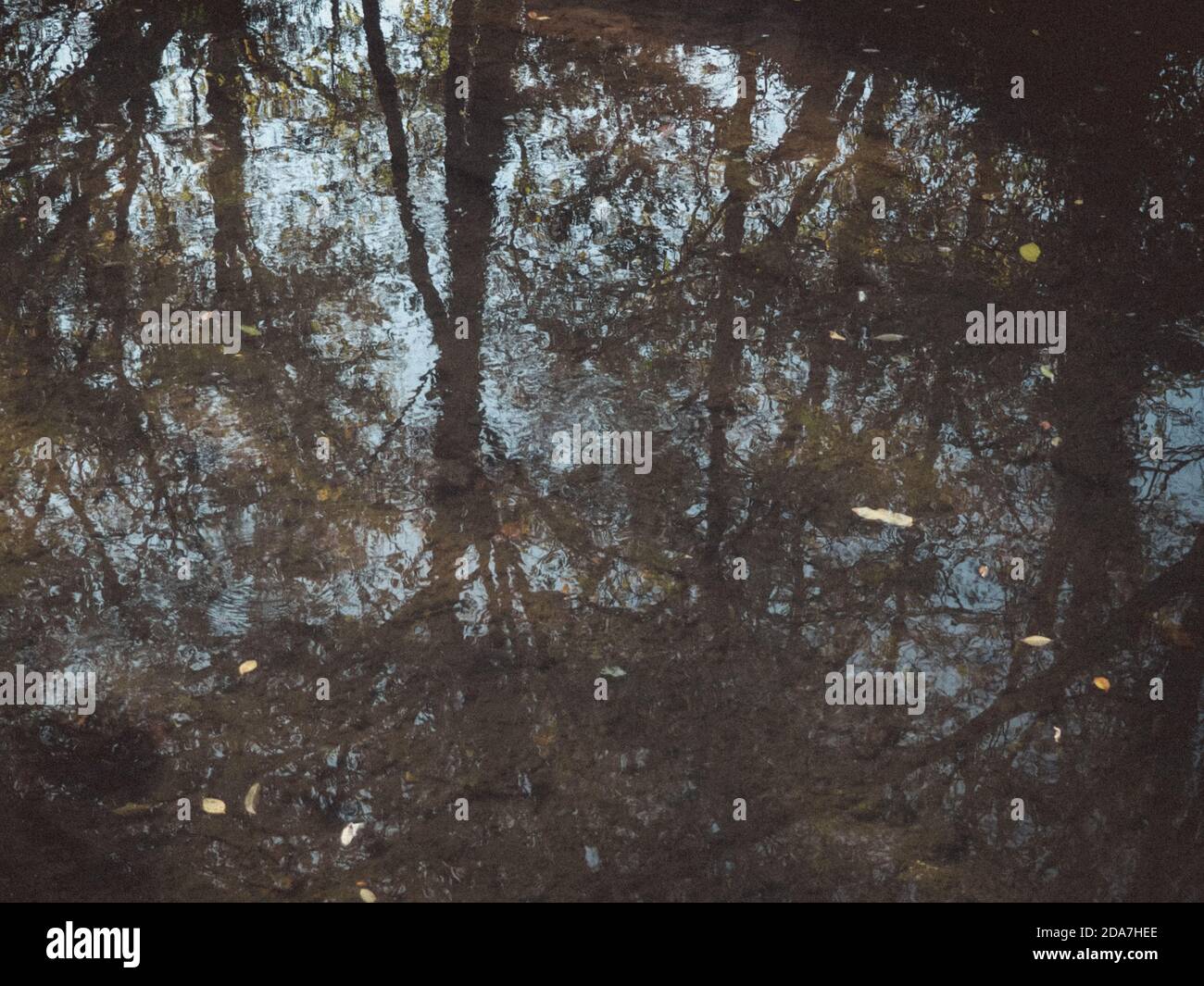 Autumn in Milan 2020 Stock Photo - Alamy