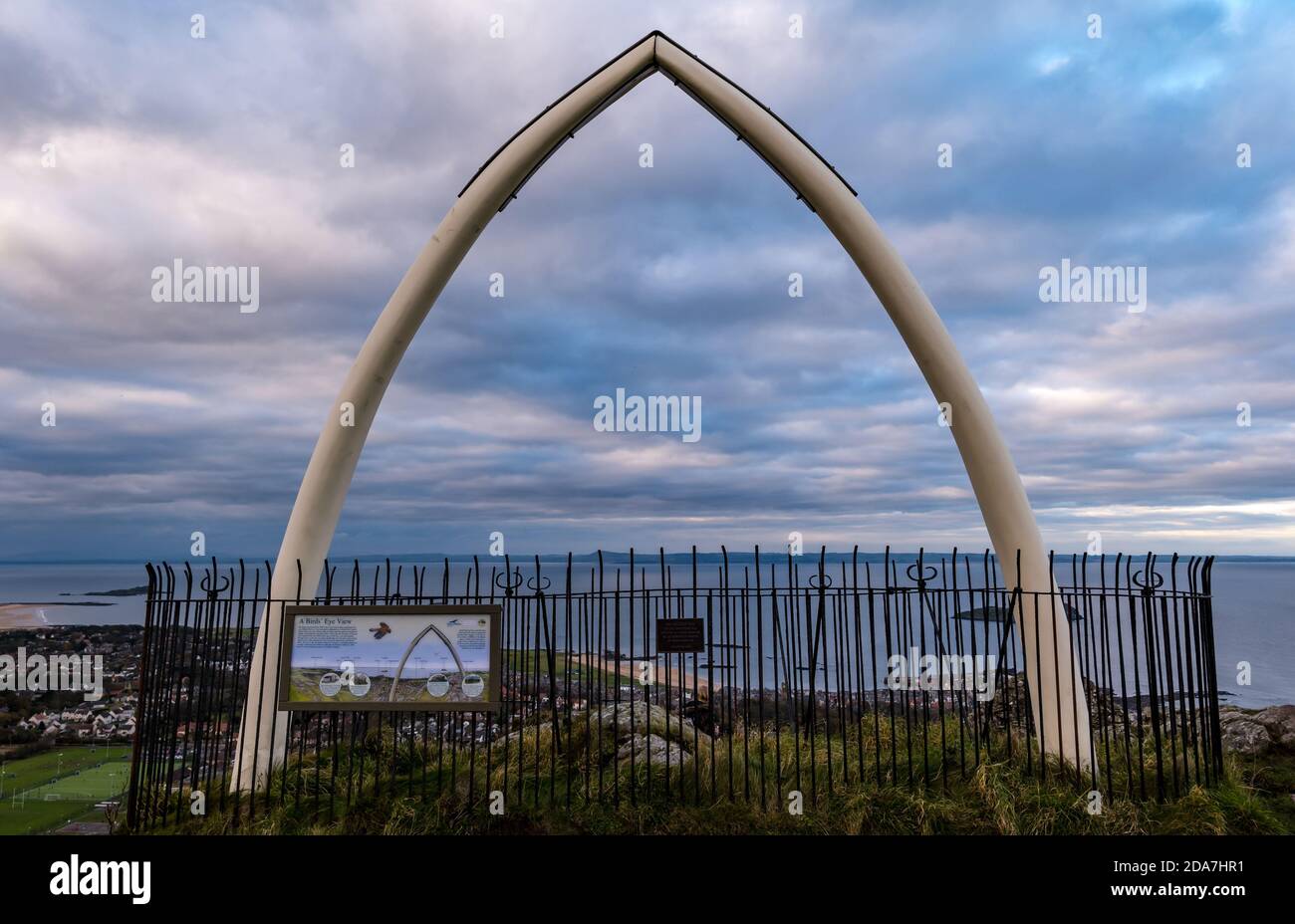 Artificial whalebone hi-res stock photography and images - Alamy