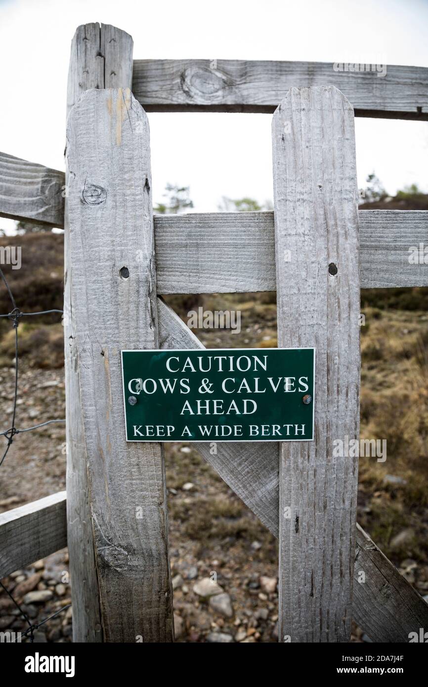 Sign on a wooden farm gate warning 'Cows & calves ahead, keep a wide ...