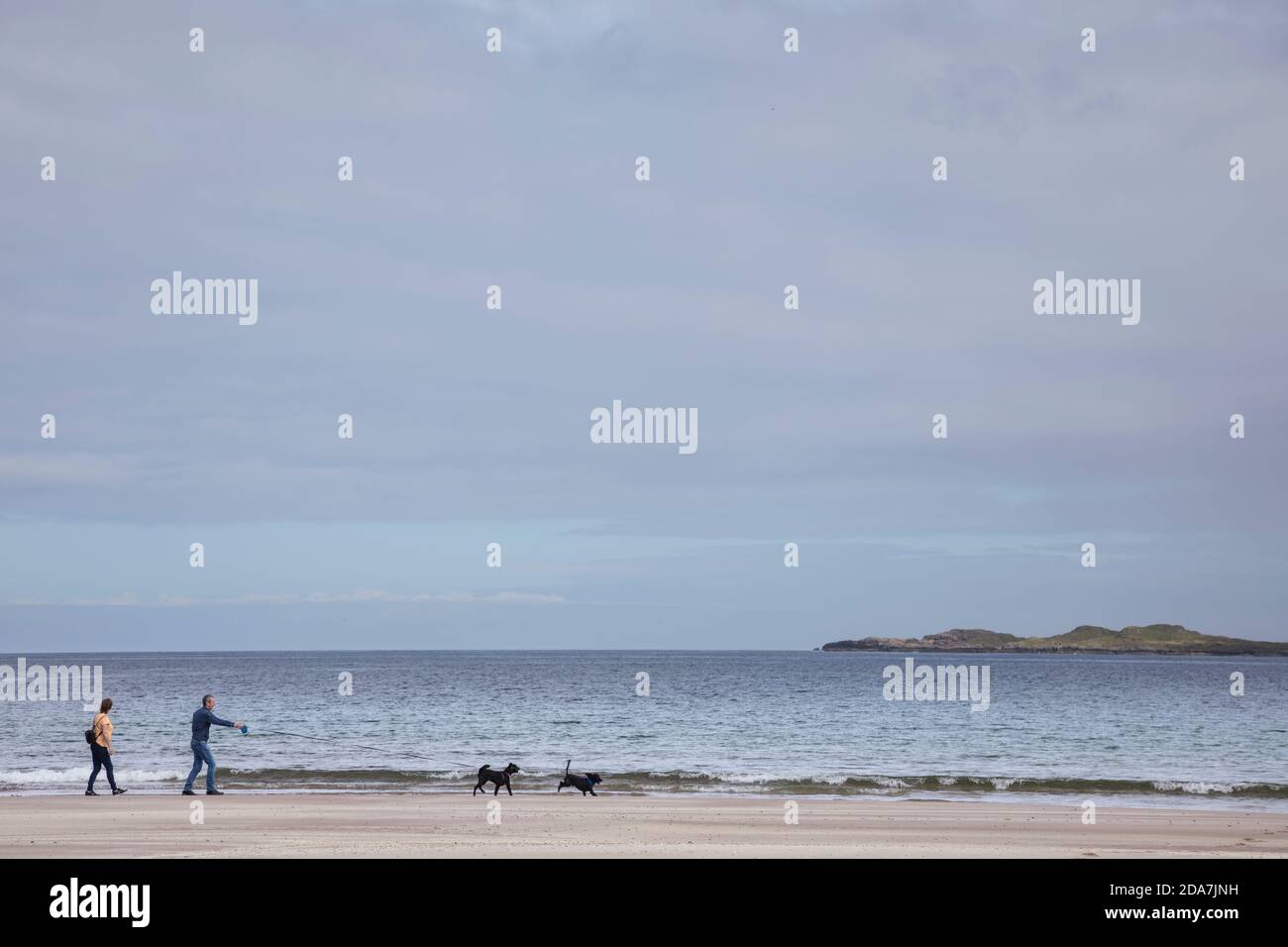 Man and woman walking their two dogs on an empty Clashnessie beach ...