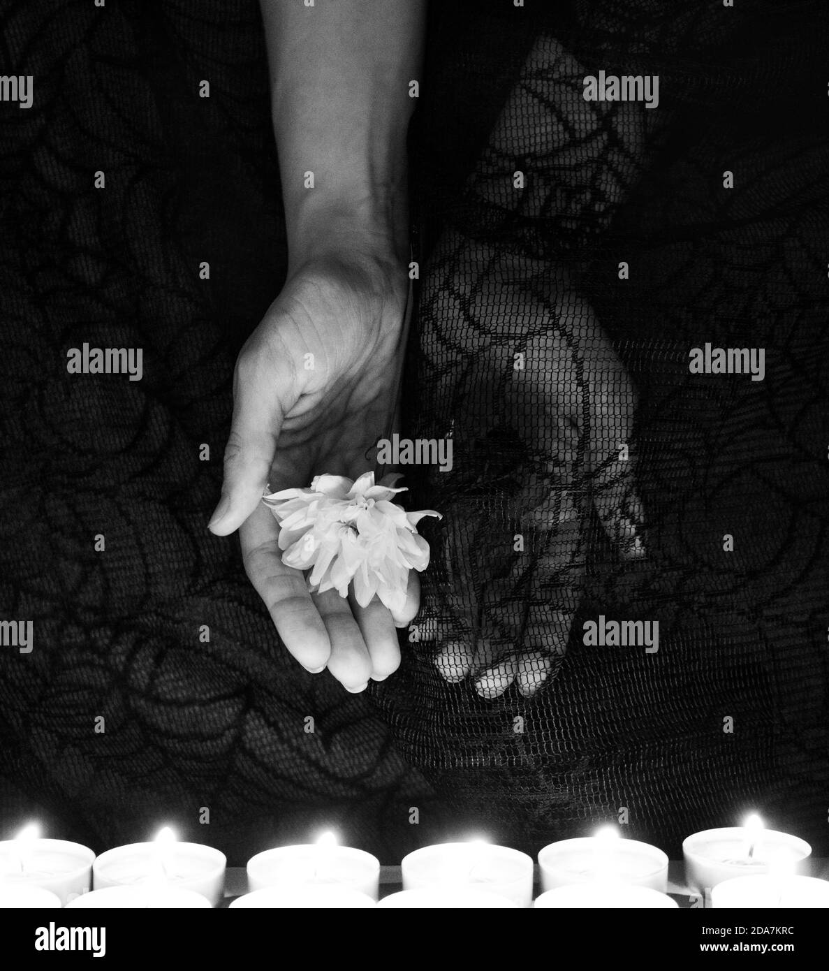 Light and Dark Stock Photo - Alamy