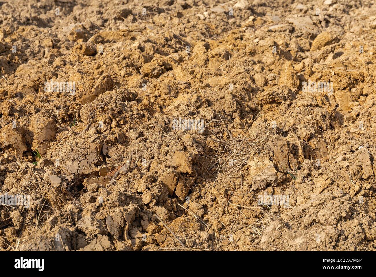 Brown Dirt Soil Humus Organic Natural Agriculture Field Stock Photo - Alamy