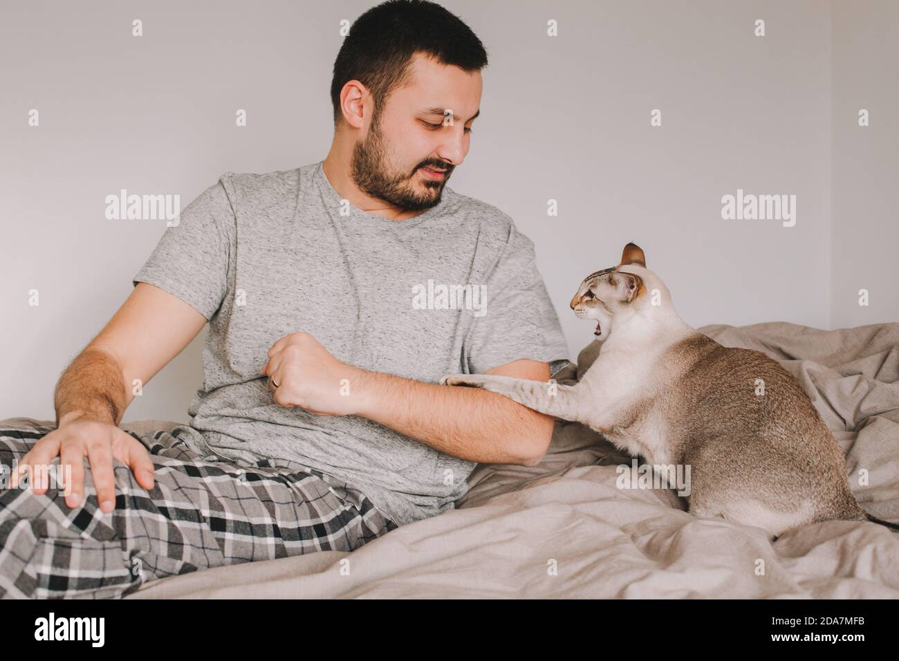 Angry cat scratch domestic hi-res stock photography and images - Alamy