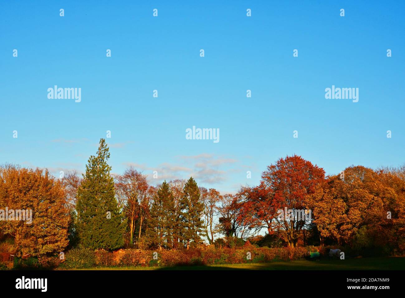 Whiteleaf Buckinghamshire High Resolution Stock Photography and Images ...