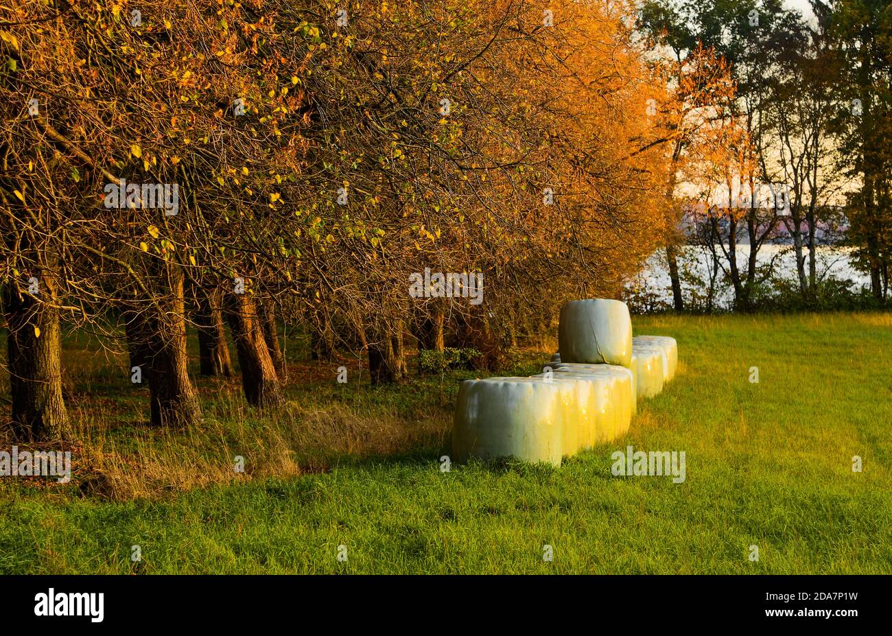 Light reflections on silage hi-res stock photography and images - Alamy