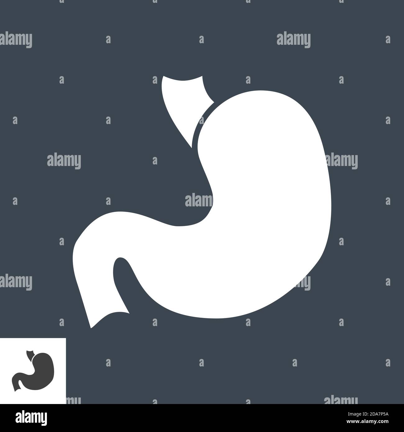 Stomach isolated Stock Vector Images - Alamy