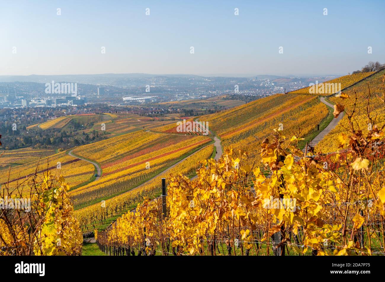 Rotenberg vineyards hi-res stock photography and images - Alamy