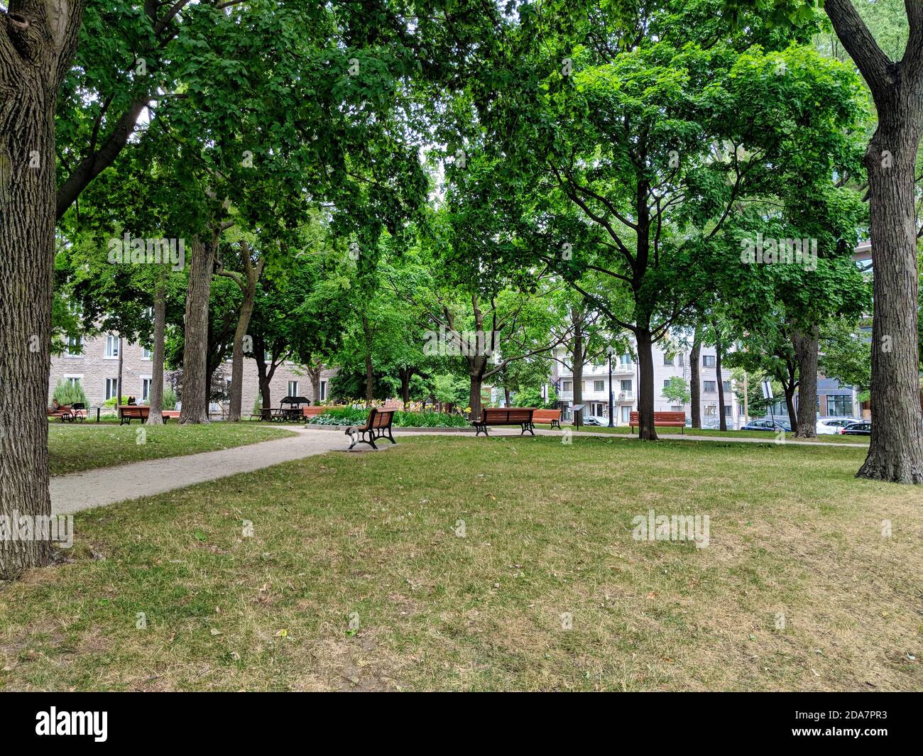 An empty park with benches, grass, path and trees in Montreal Stock ...