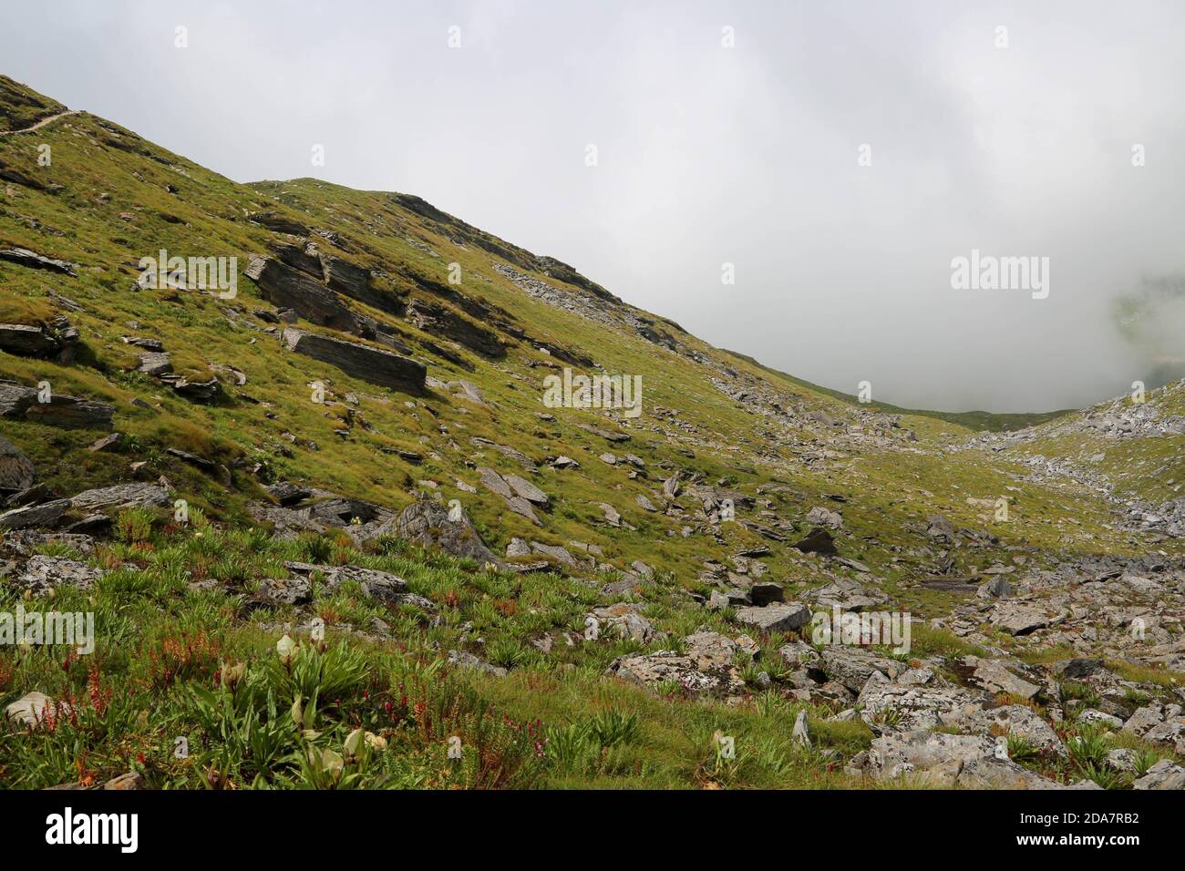 Valley Of Flowers National Park Chamoli Uttarakhand