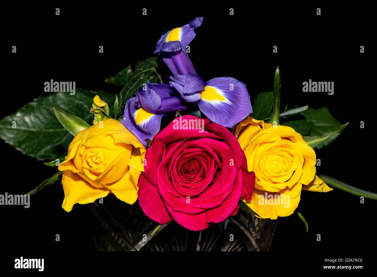 Minimalist black rose eye hi-res stock photography and images - Alamy