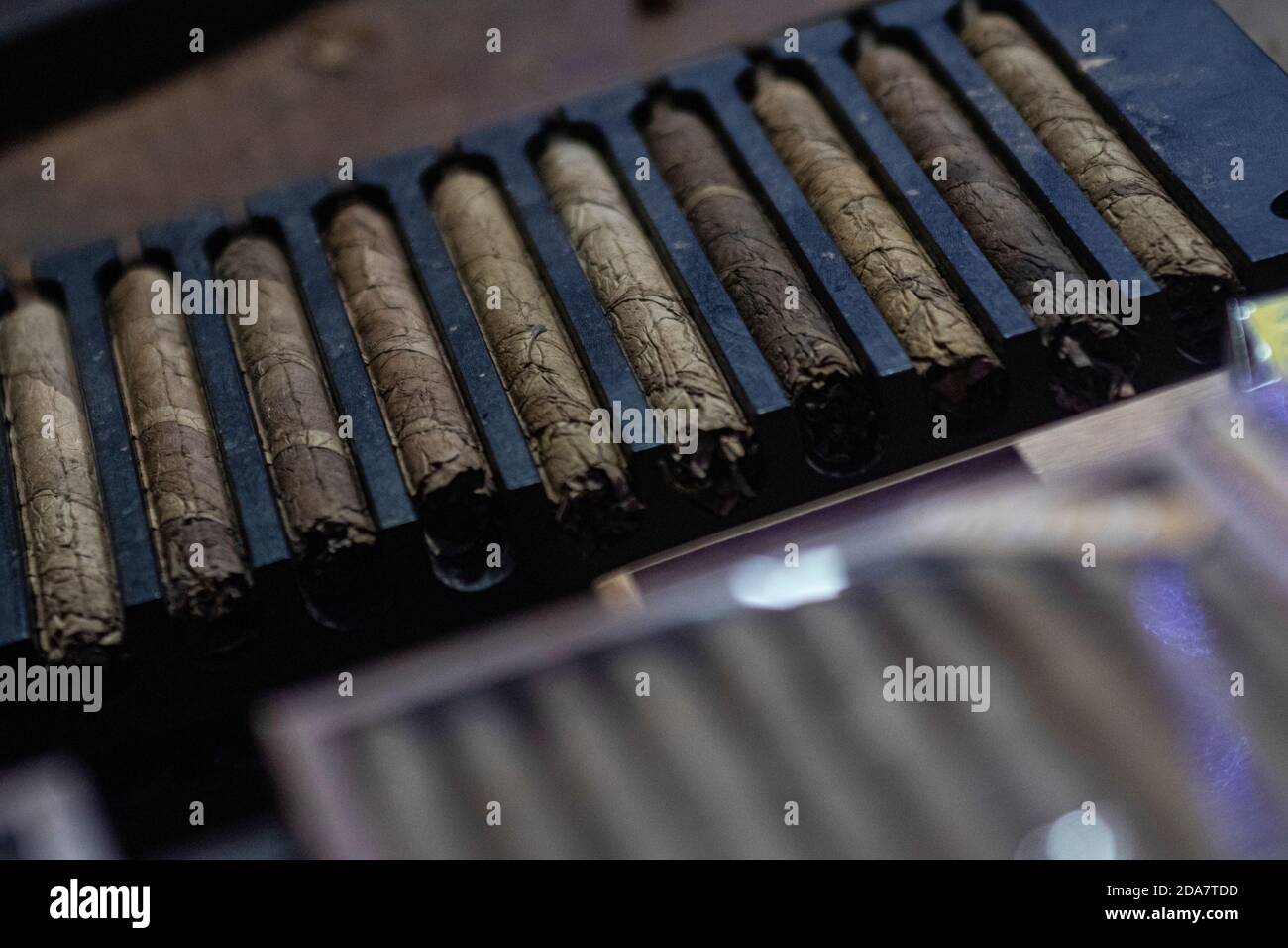 Dominican cigar hi-res stock photography and images - Alamy