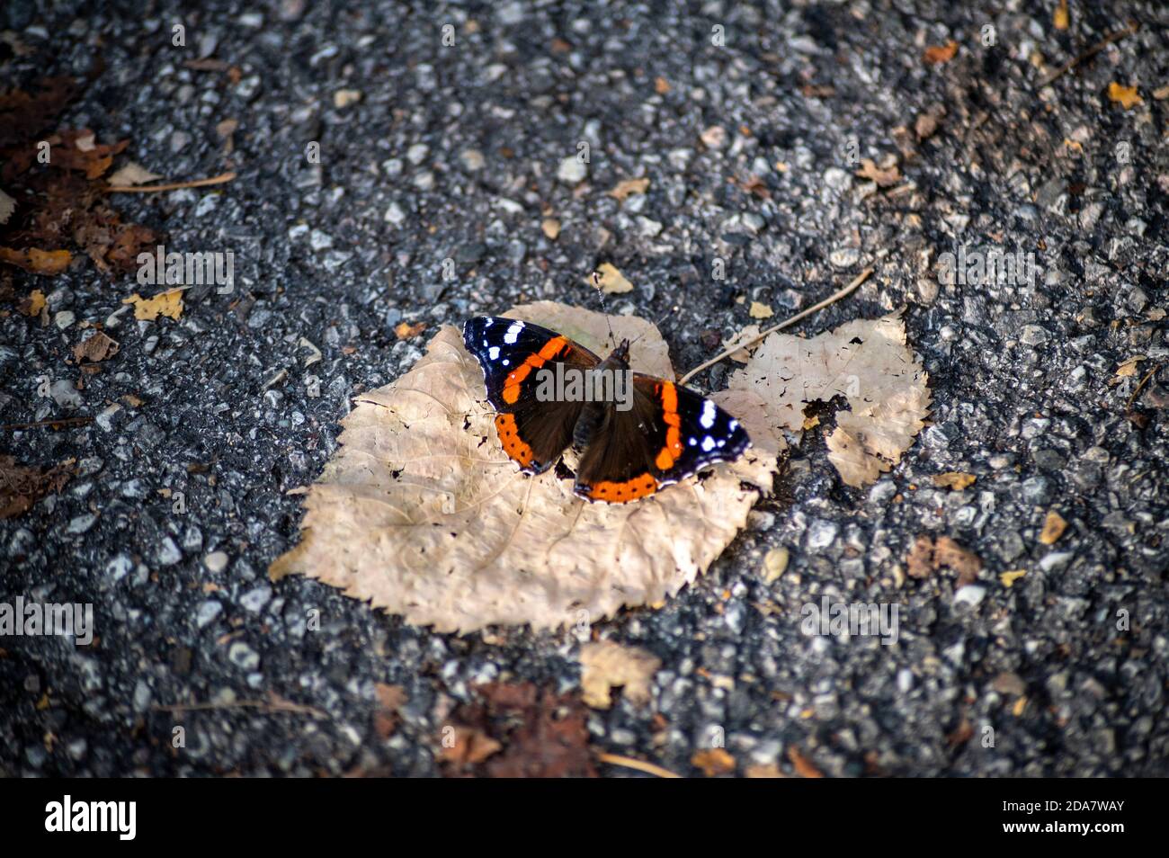 Volcano icon vector symbol hi-res stock photography and images - Alamy