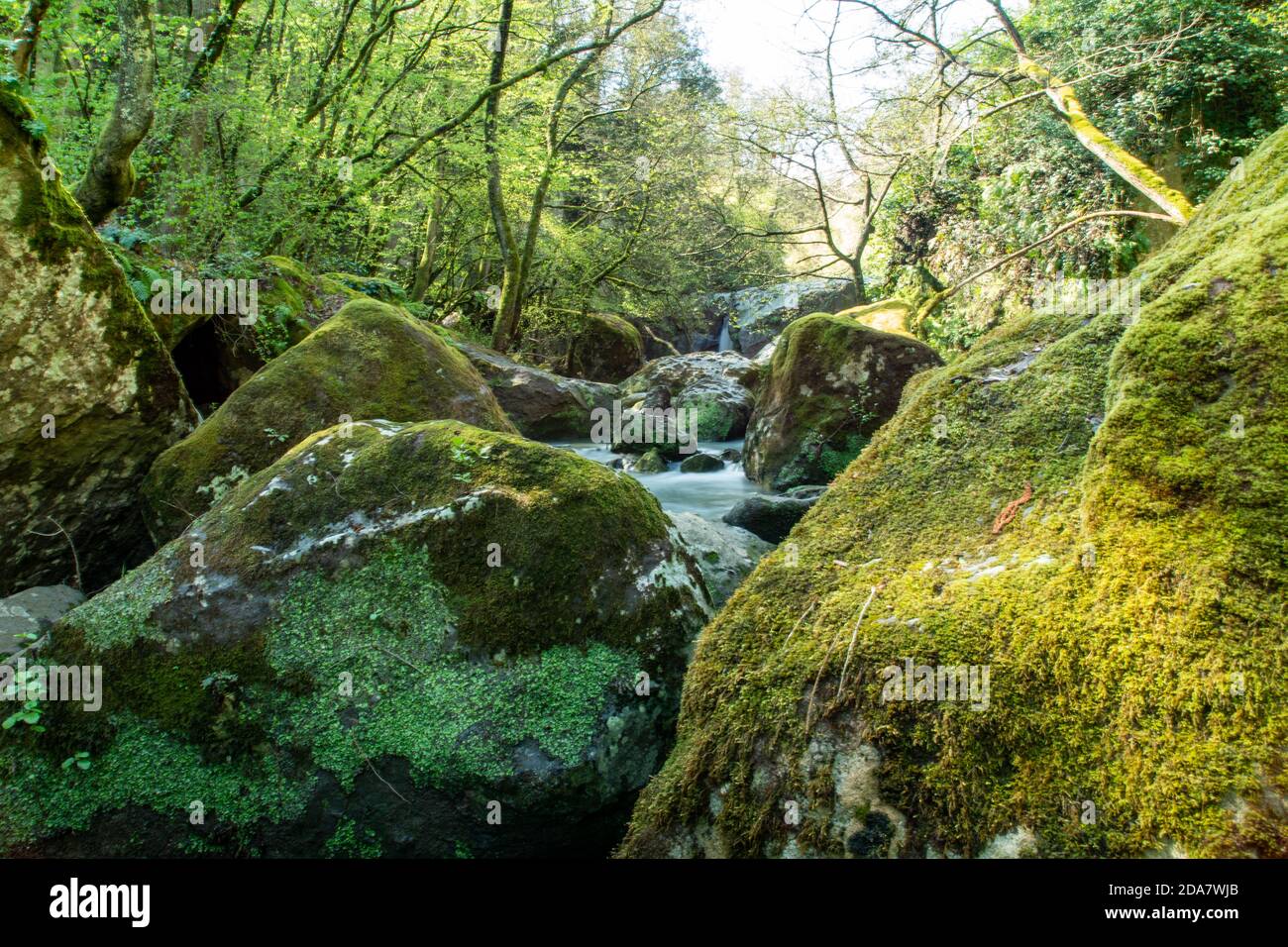 waterfalls torrent of soriano chia viterbo ditch castle Stock Photo - Alamy