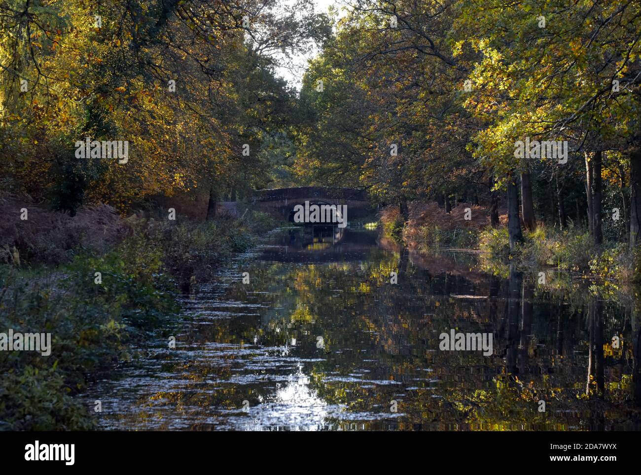 Surrey pirbright bridge hi-res stock photography and images - Alamy
