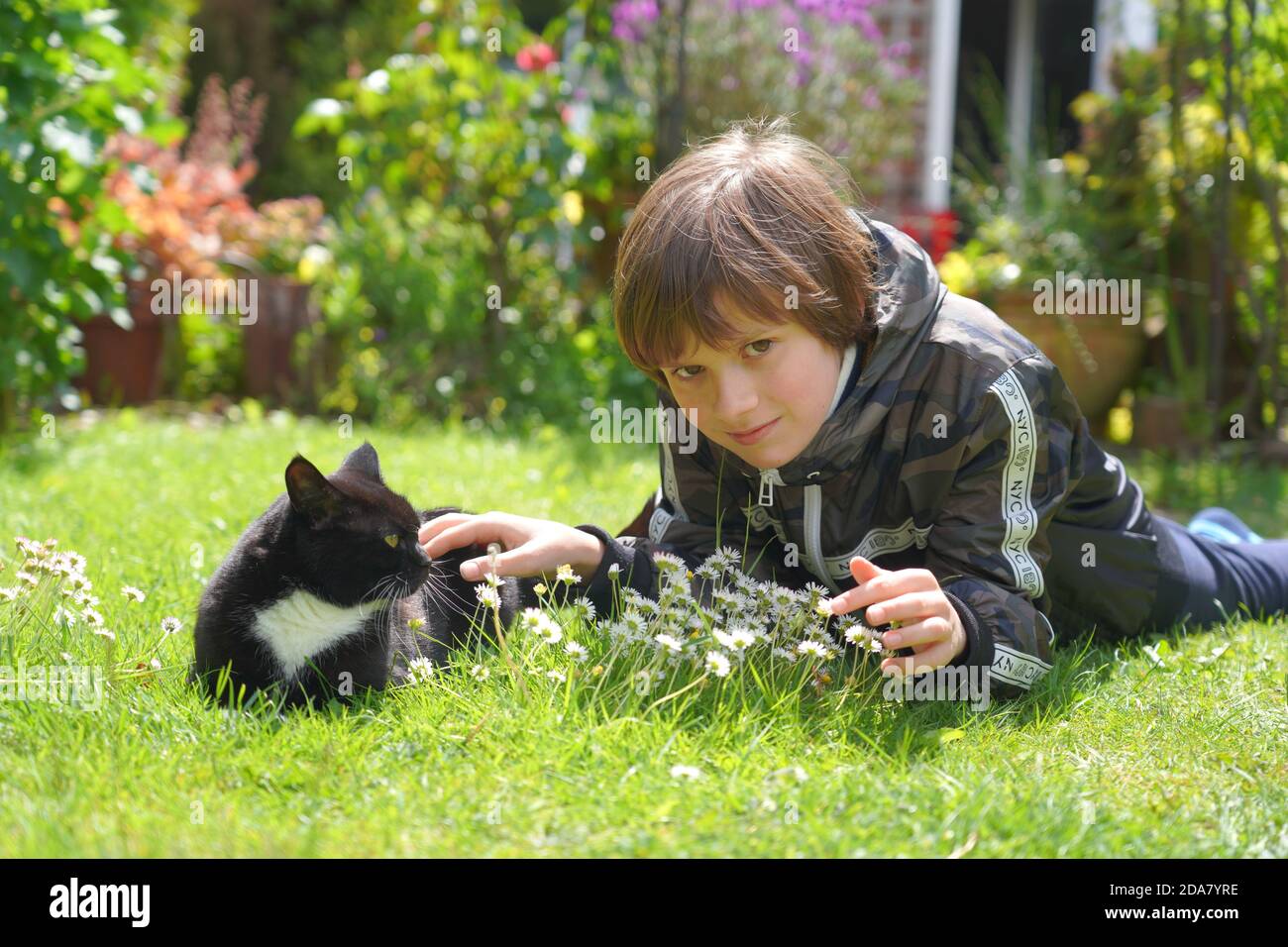 Boy with a pet cat Stock Photo - Alamy