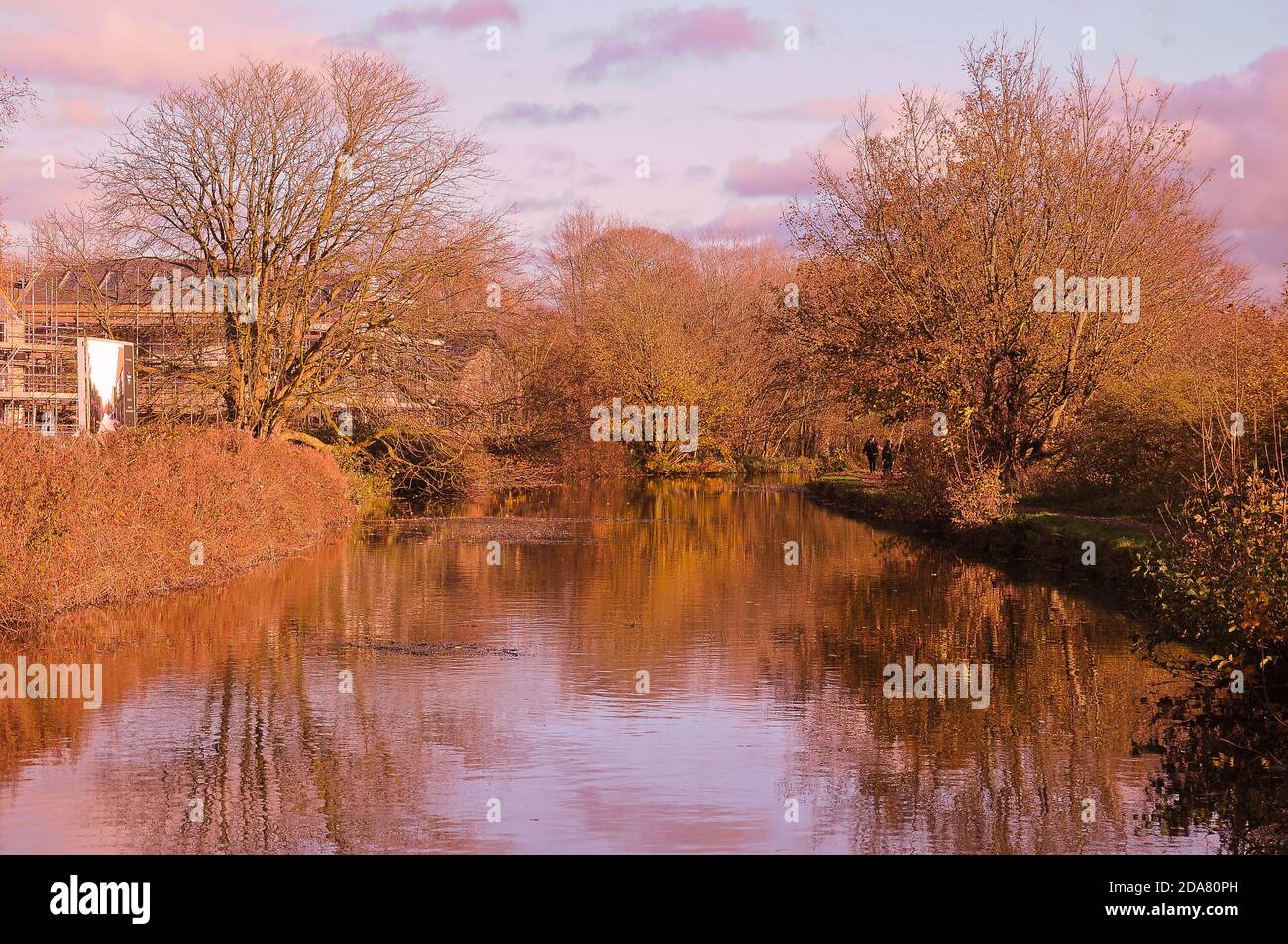 Sunny Autumn Scene Stock Photo - Alamy