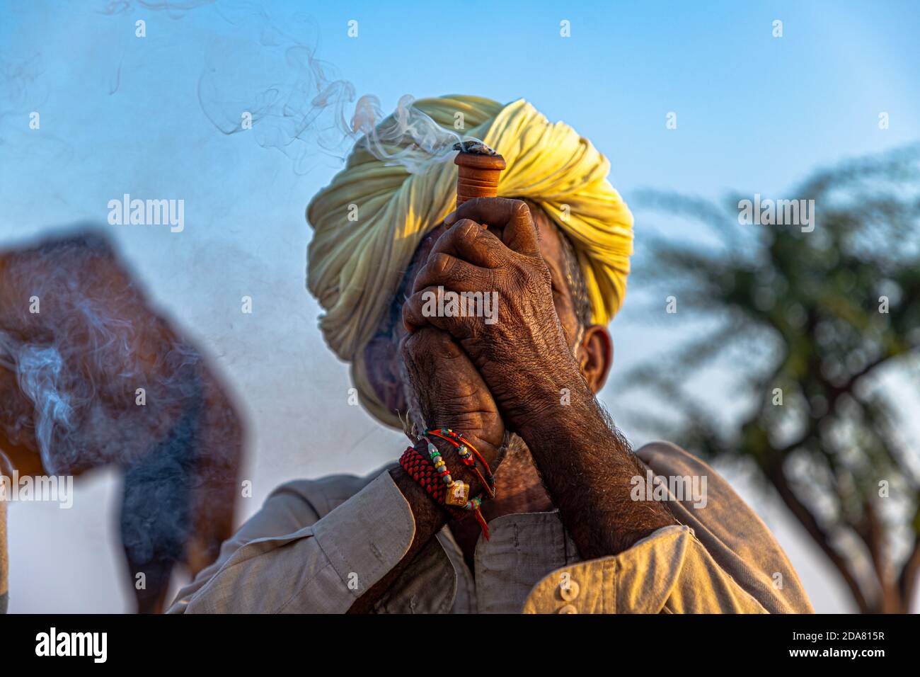 portrait of an old tribal man smoking chillam at pushkar camel festival ...