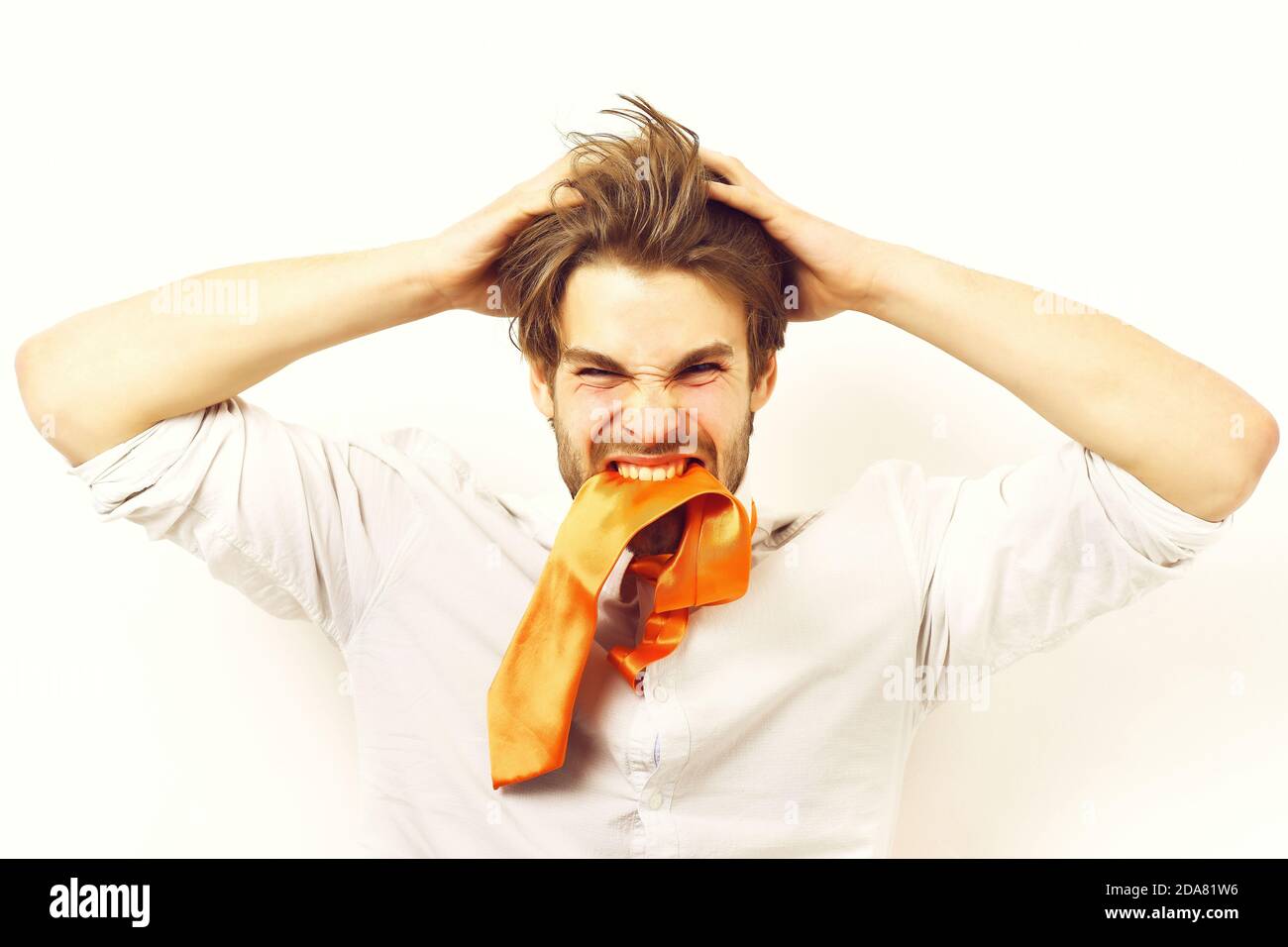 Bearded man, short beard. Caucasian angry macho with moustache holding ...
