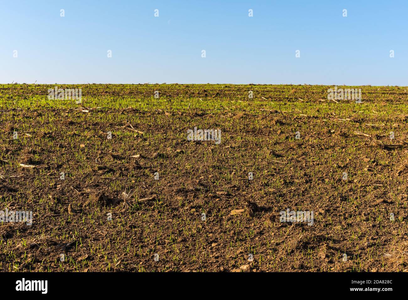 Shot of a cultivated land Stock Photo - Alamy