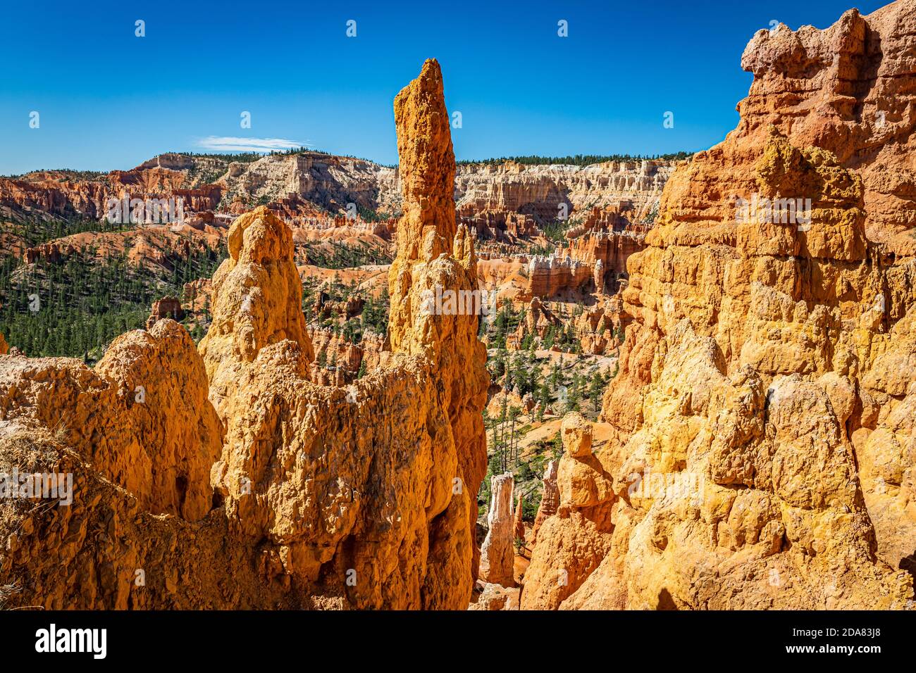 Hoodoo and eroded cliff formations at Bryce Canyon National Park in ...