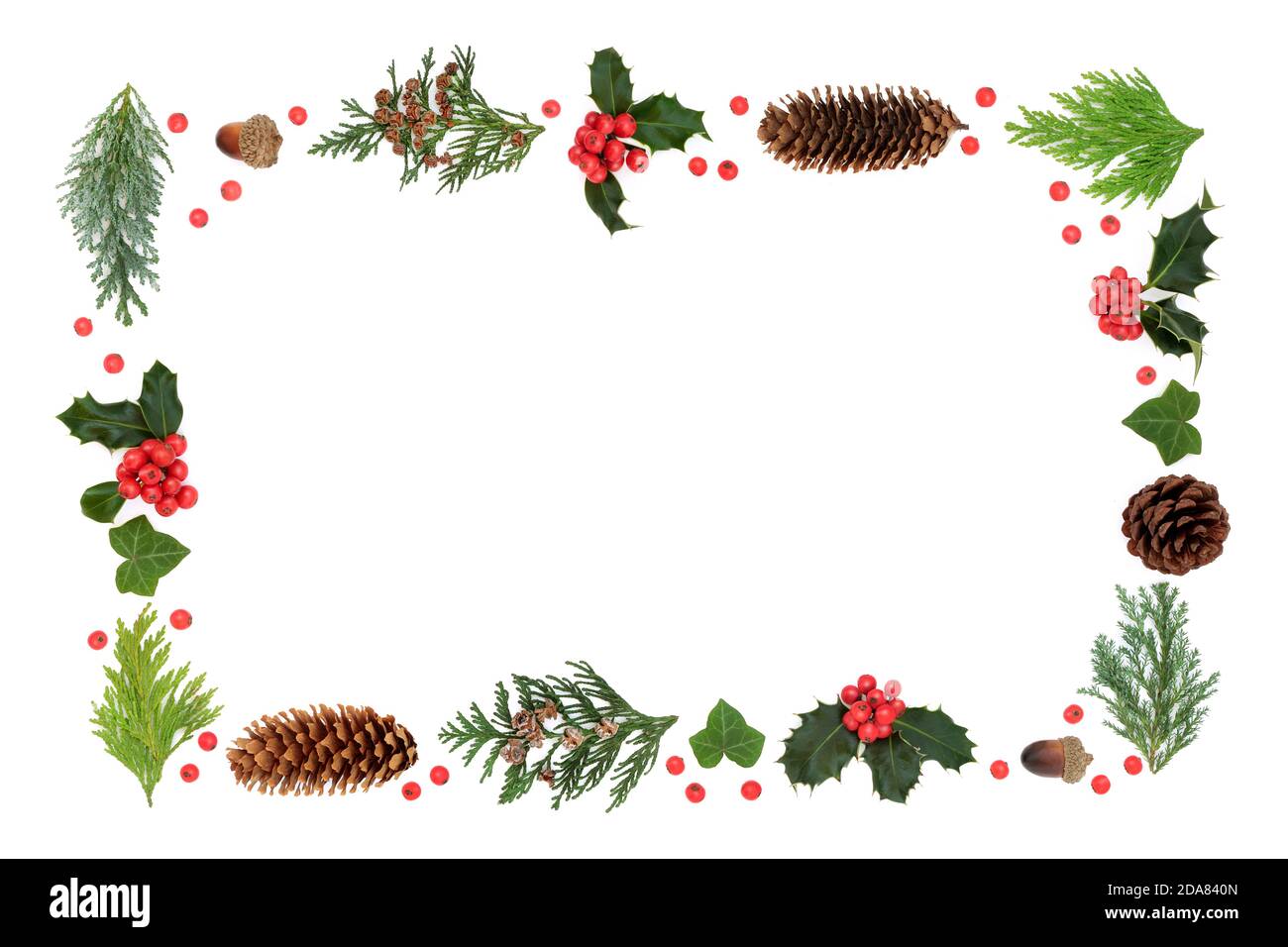 Festive winter solstice & Christmas background border with holly, cedar ...