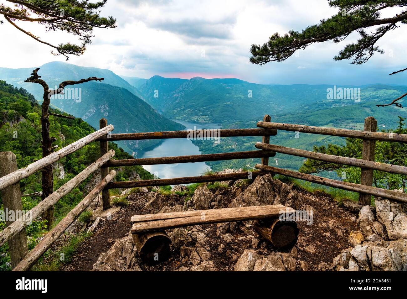 Banjska stena viewpoint in Tara National Park, Serbia. Beautiful ...