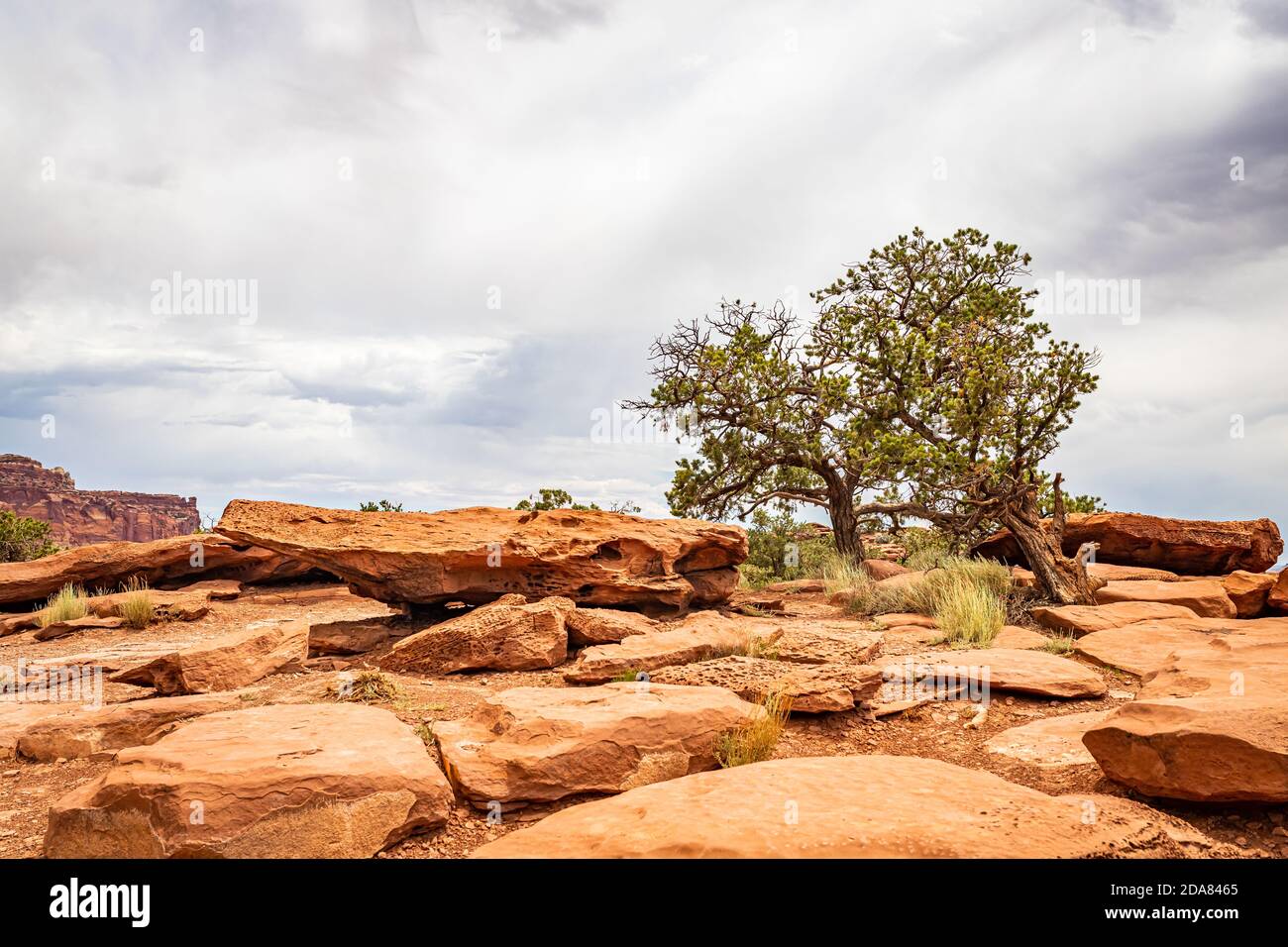 Capitol Reef National Park Stock Photo - Alamy