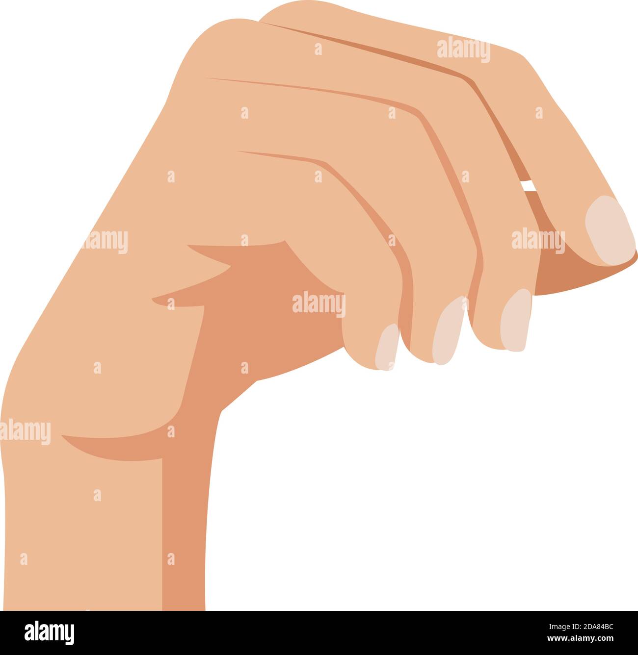 Woman hand holding something. Woman hand Isolated on white background ...