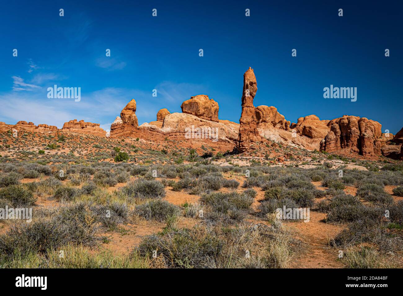 Canyons and eroded sandstone and limestone formations dominate the ...