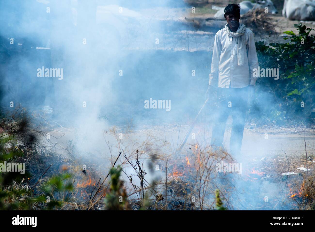 Fire burning crops garbage and more in a field and side of road causing ...