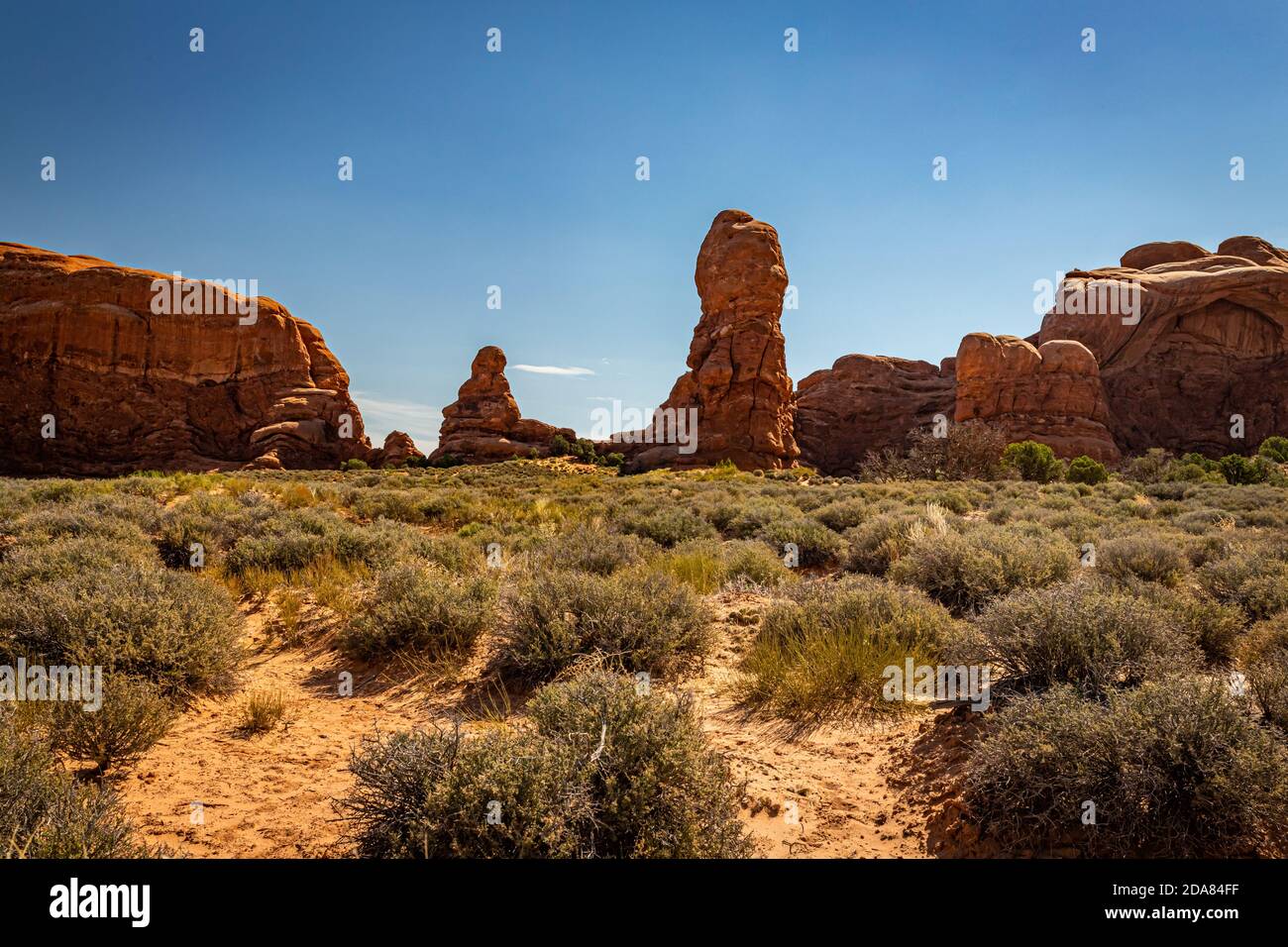 Canyons and eroded sandstone and limestone formations dominate the ...