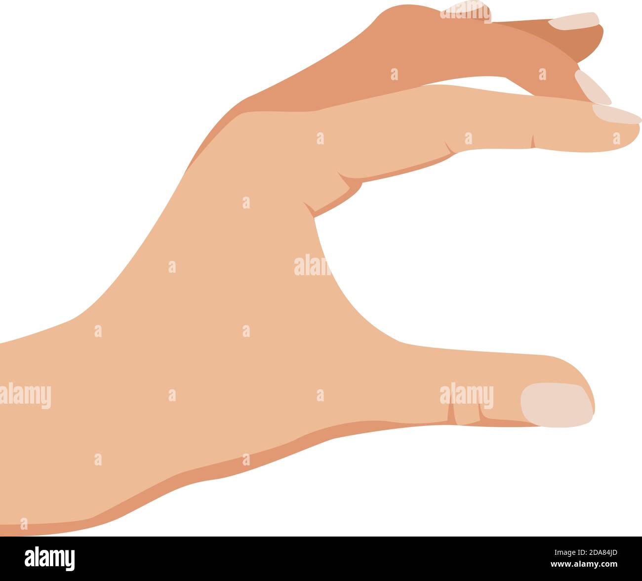 Hand showing something small. Holding hand. Realistic gesture. Flat ...