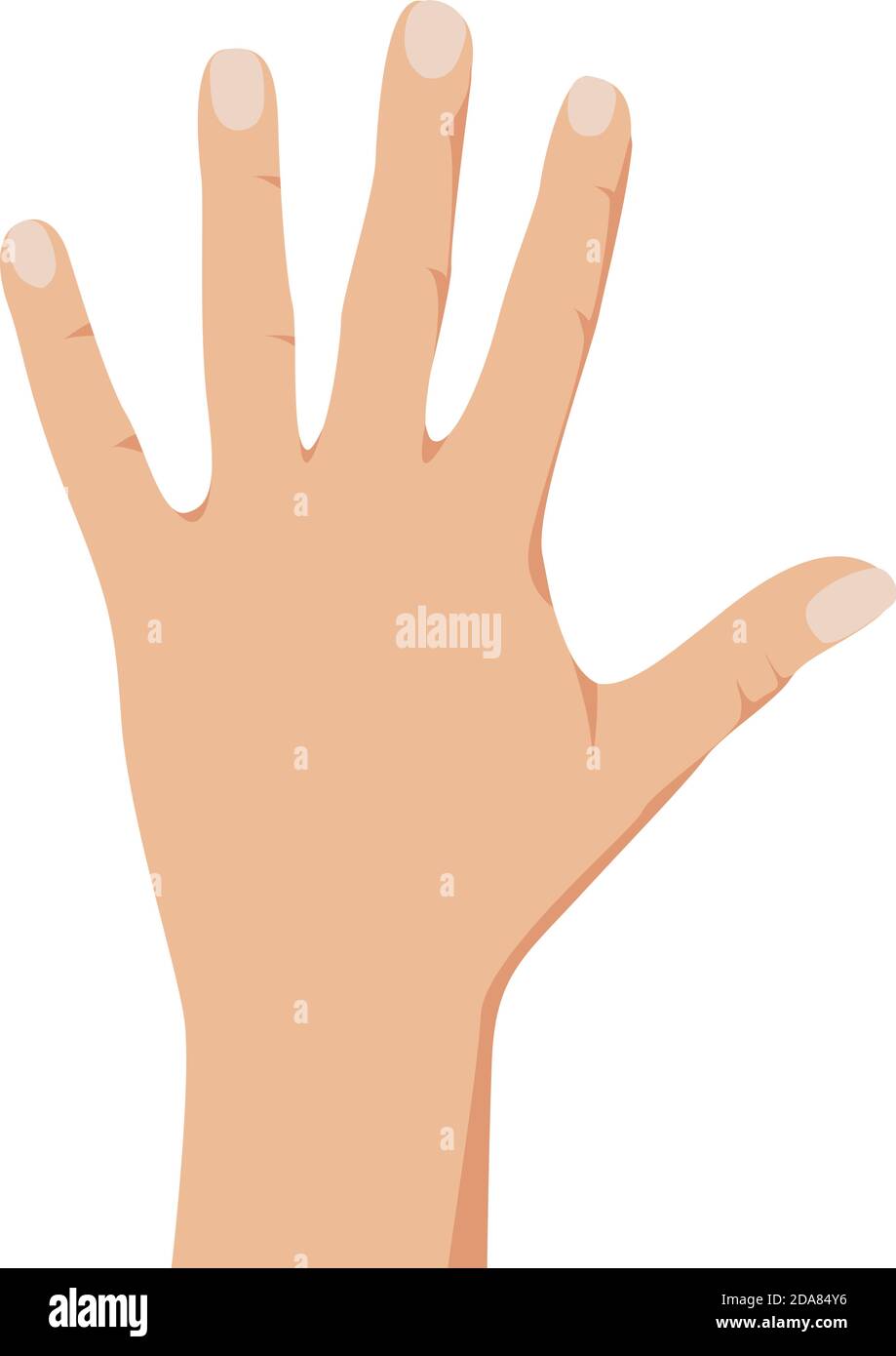 Open palm hand showing number five. Vector illustration of counting ...