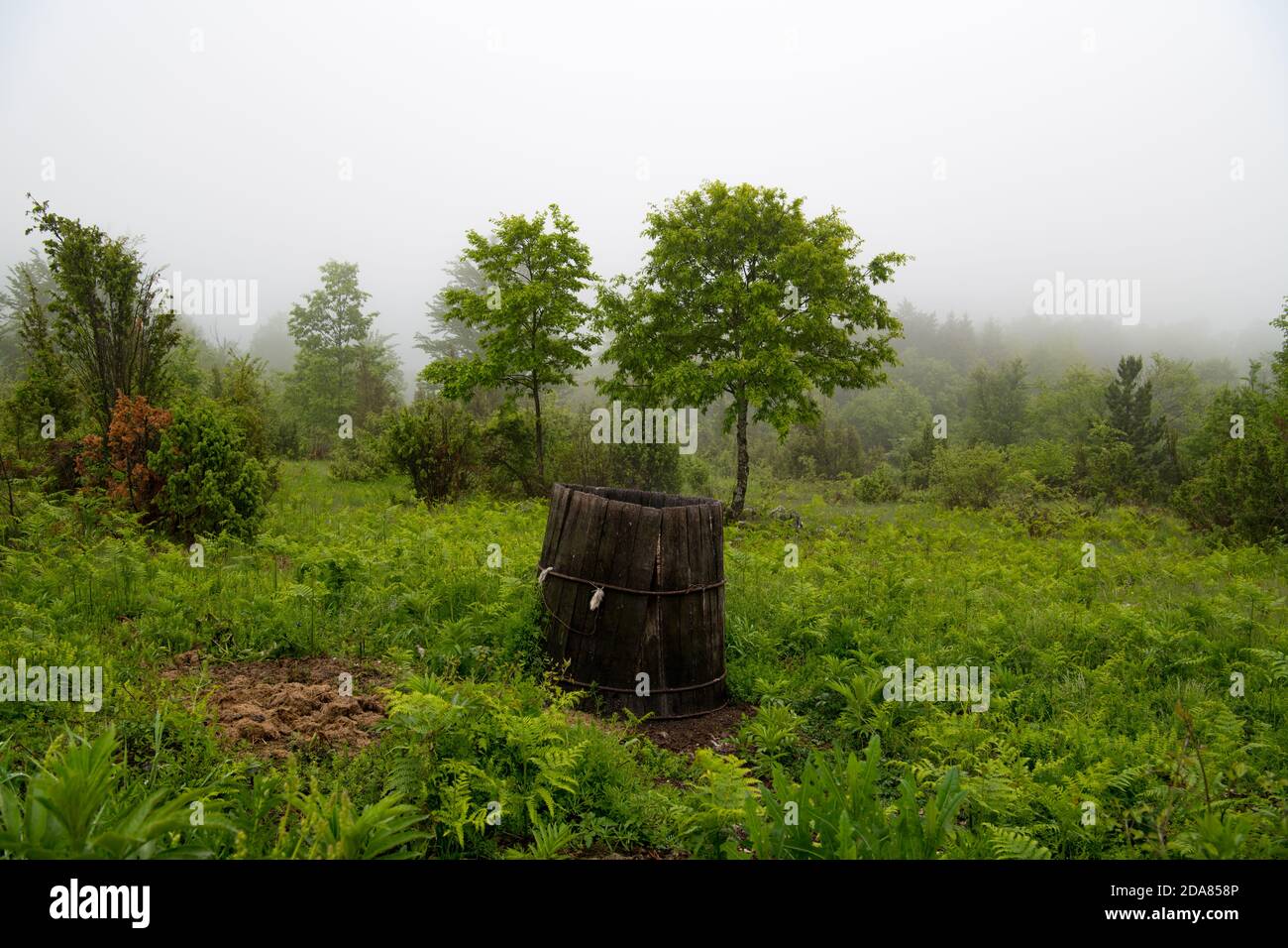 Empty barrel hi-res stock photography and images - Alamy