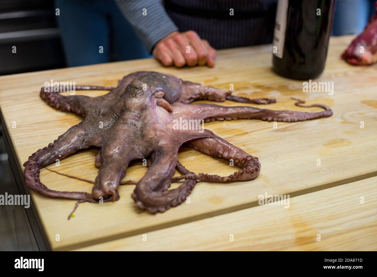 Whole raw octopus lying on wooden board in kitchen ready to be cooked ...