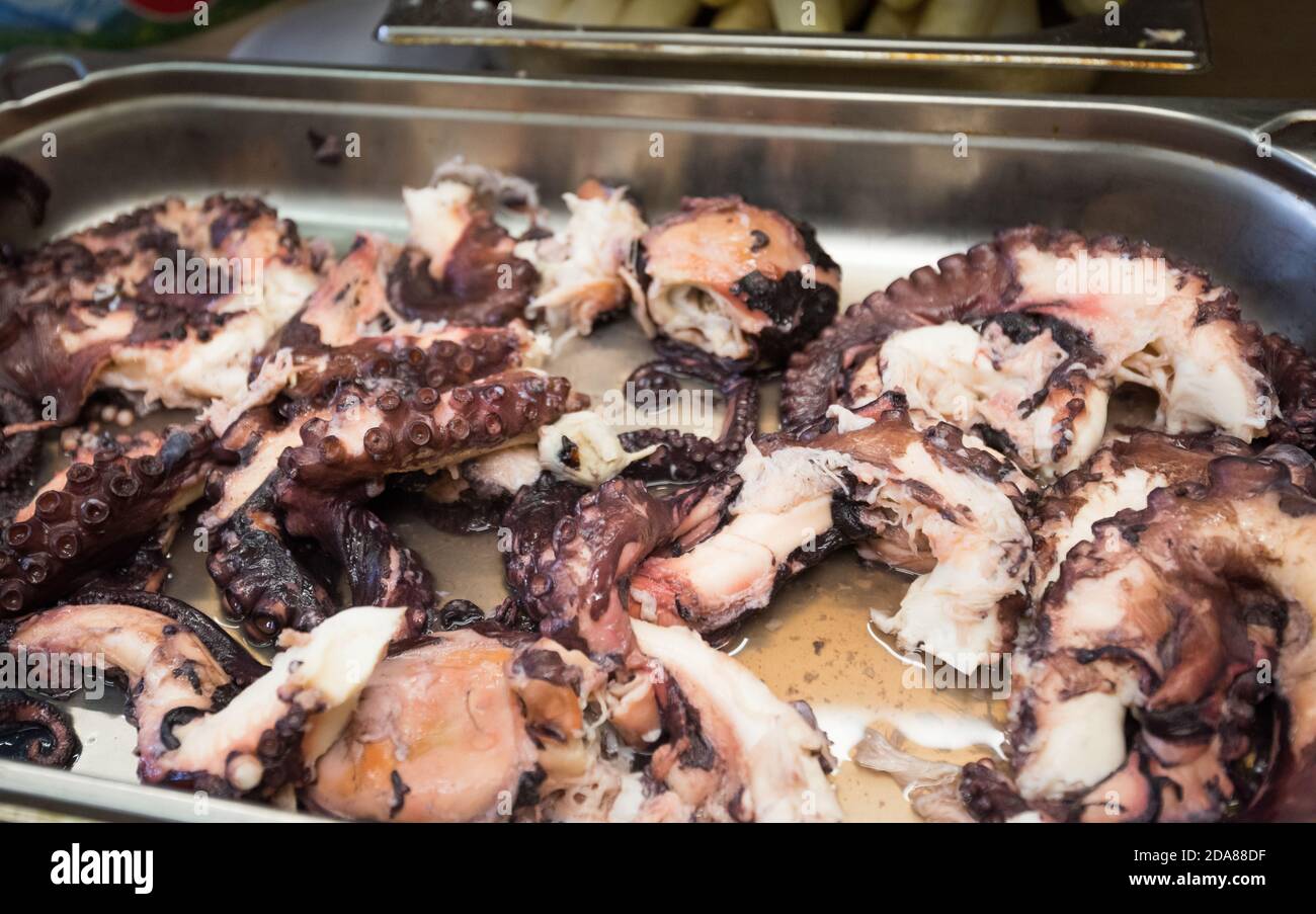 Cooked octopus cut into pieces lying in stainless steel dish Stock ...