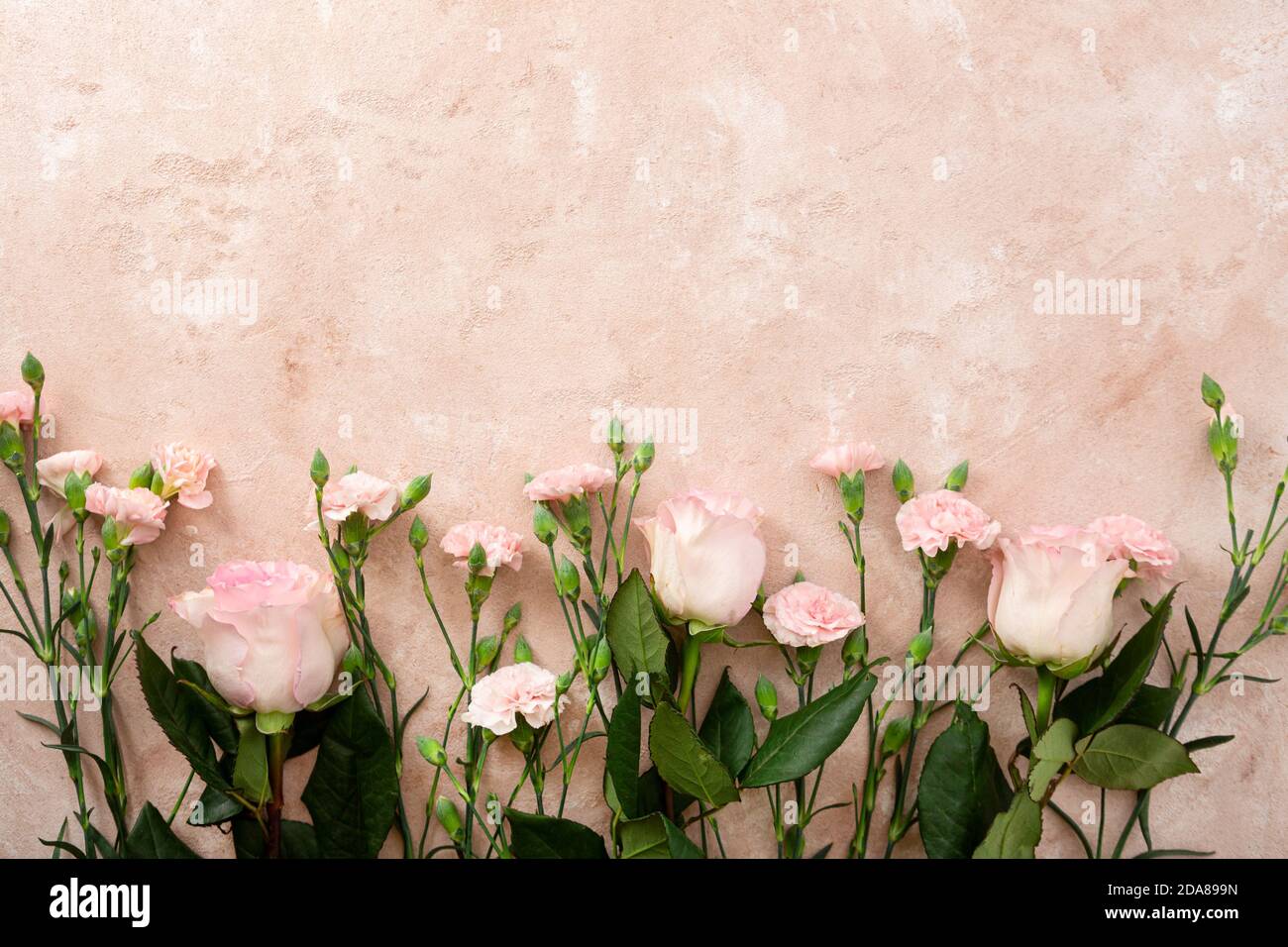 Overhead view of flowers hi-res stock photography and images - Alamy