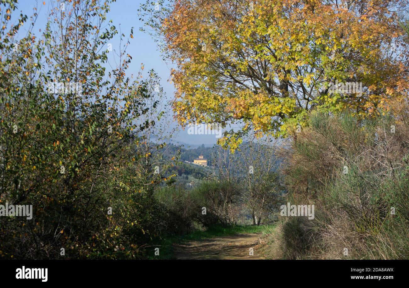 Clear path pathway hi-res stock photography and images - Alamy