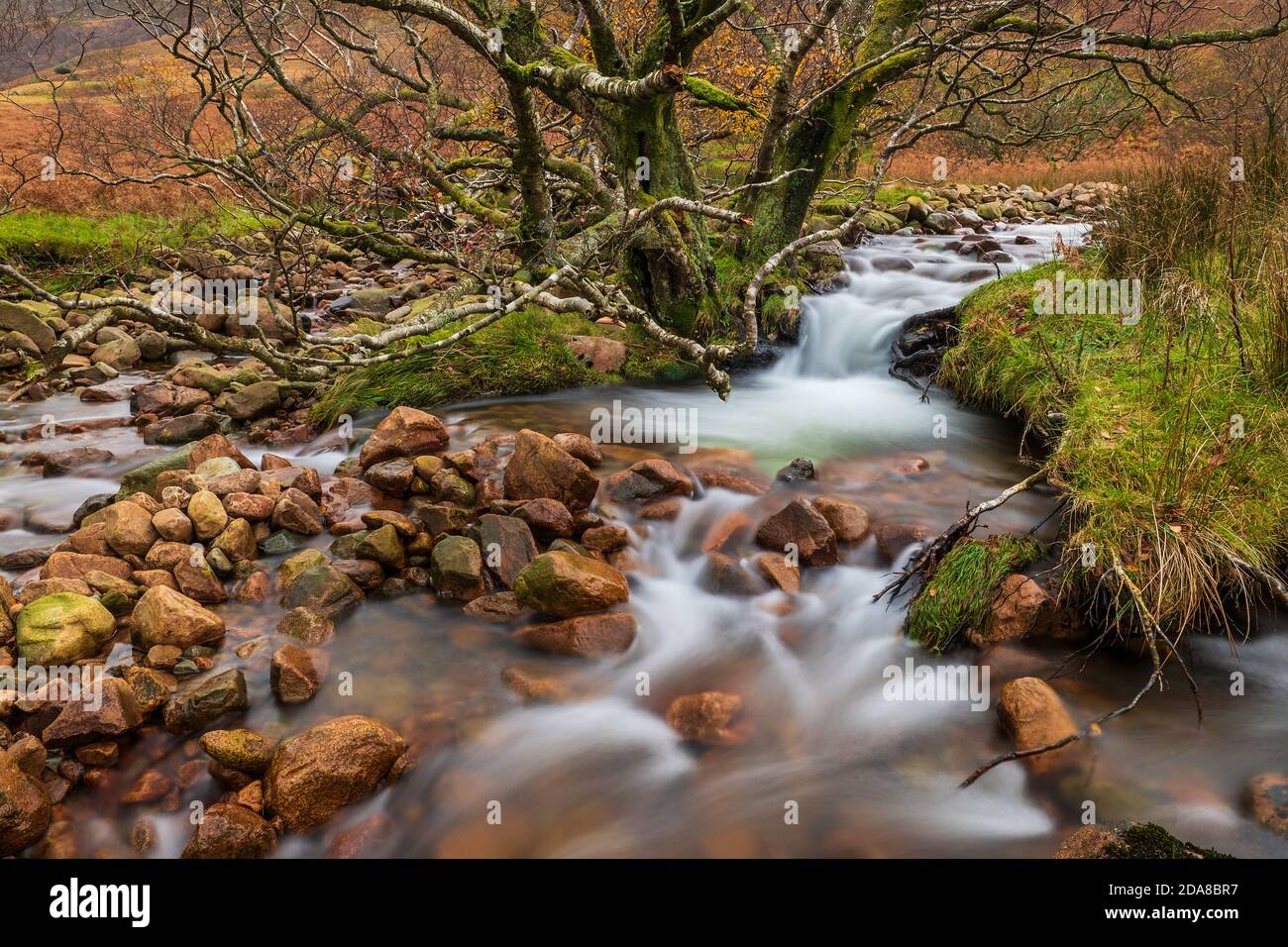 Scale Beck, a fast flowing mountain stream which flows into Crummock ...