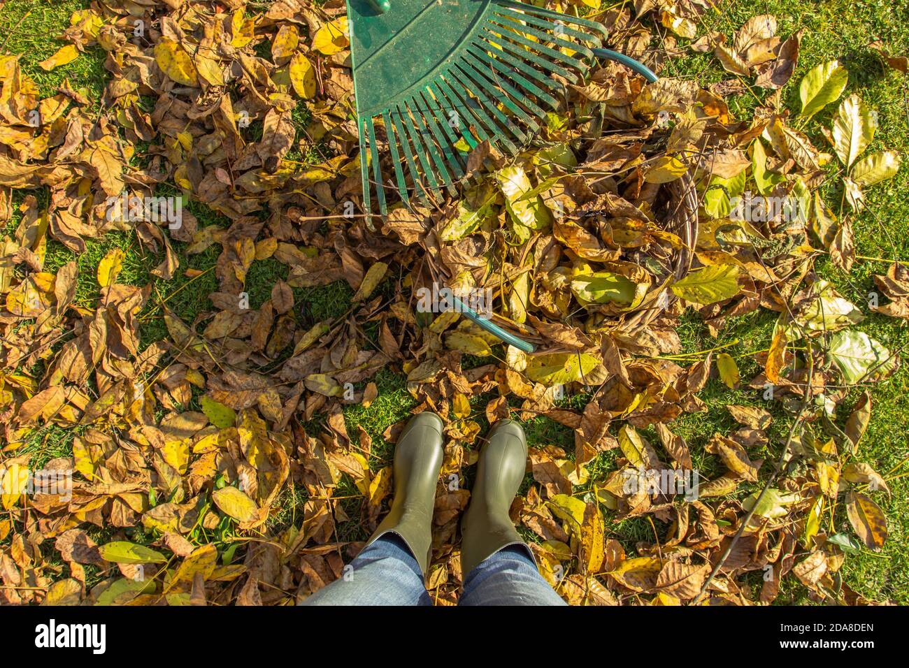 Cleaning activity hi-res stock photography and images - Alamy