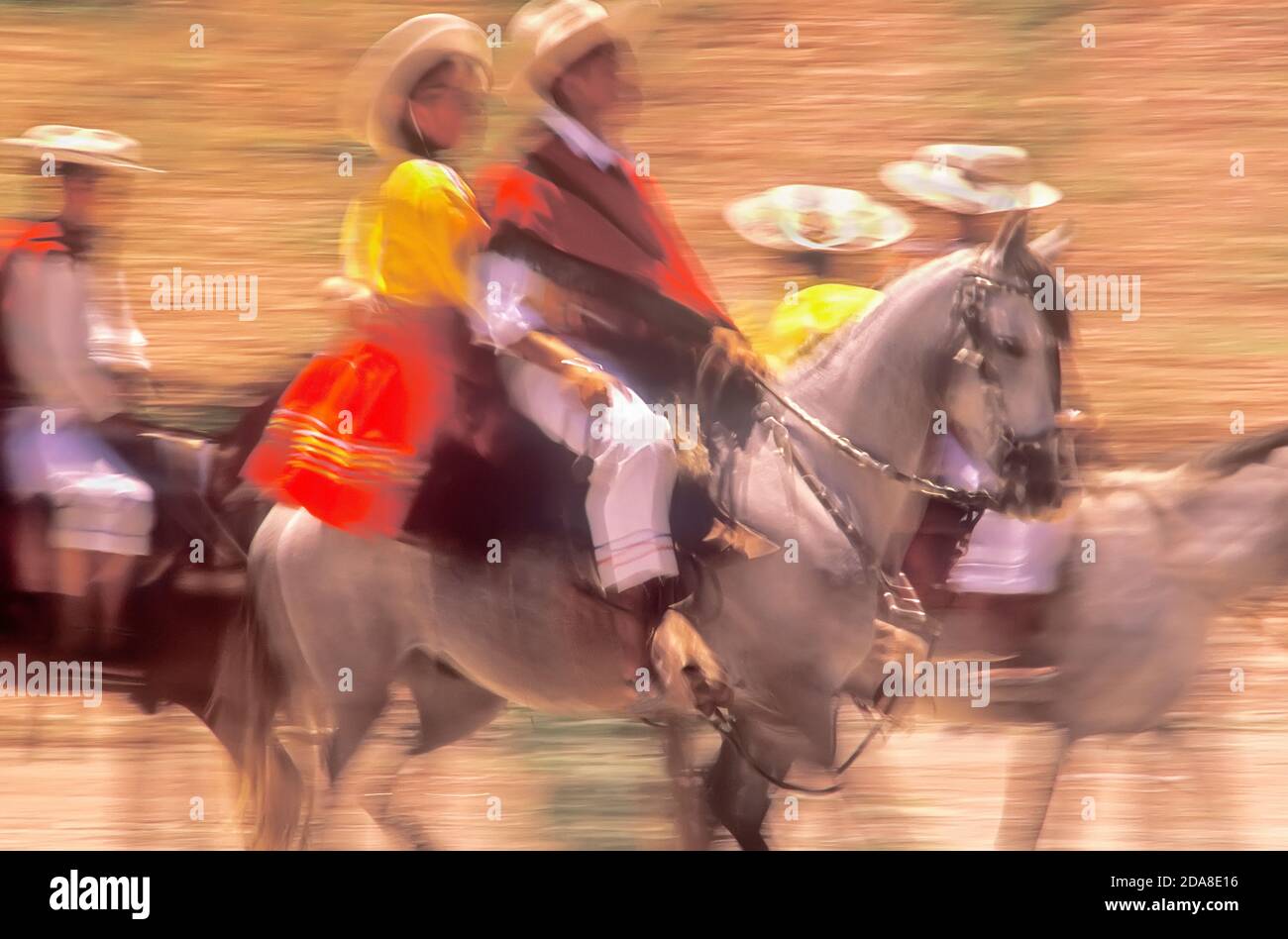 South american cowboy andes hi-res stock photography and images - Alamy