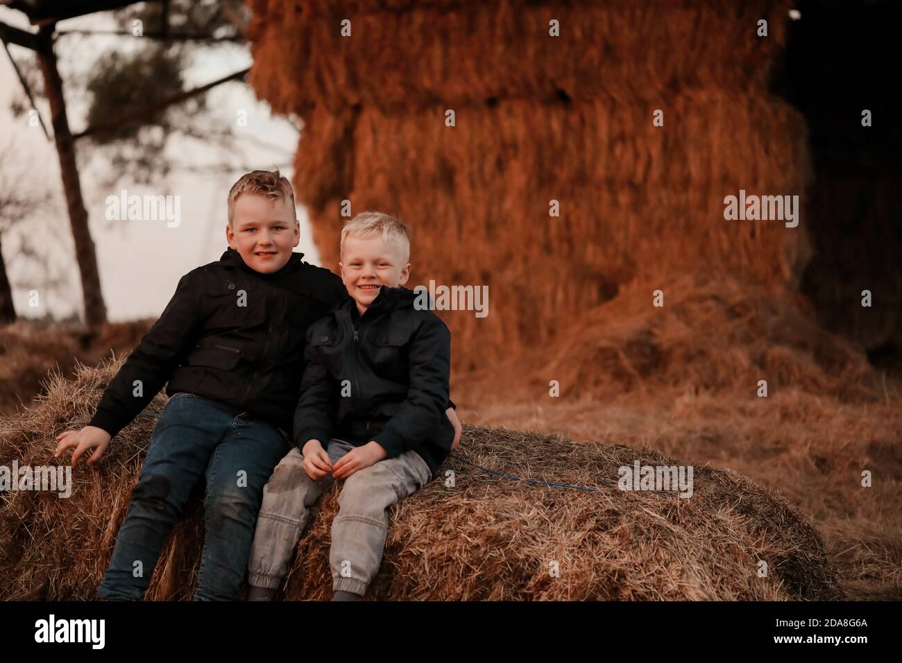 Adorable brothers sitting on a haycock and posing Stock Photo - Alamy
