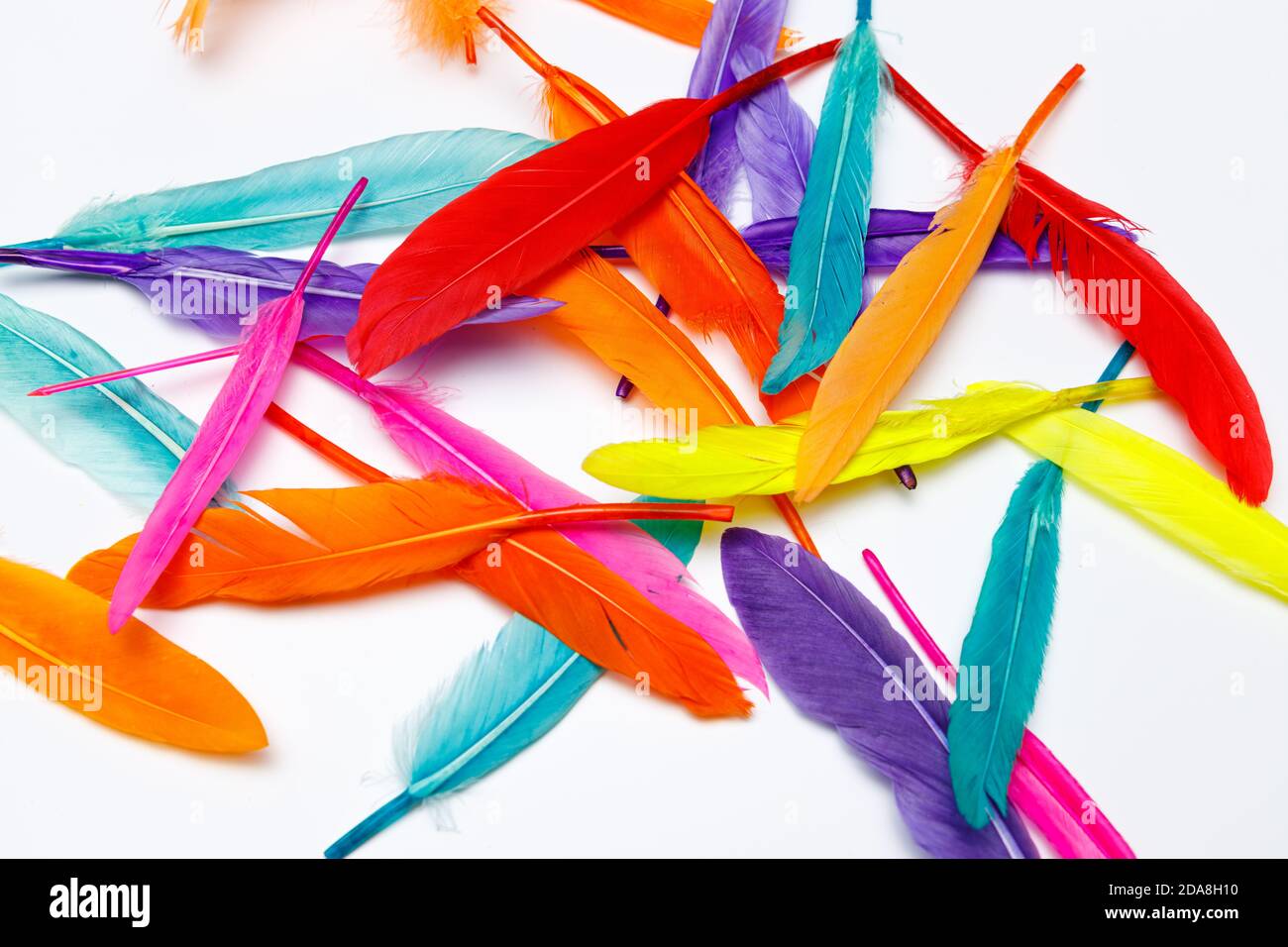 Colorful artificial feathers spread over a white uniform background ...