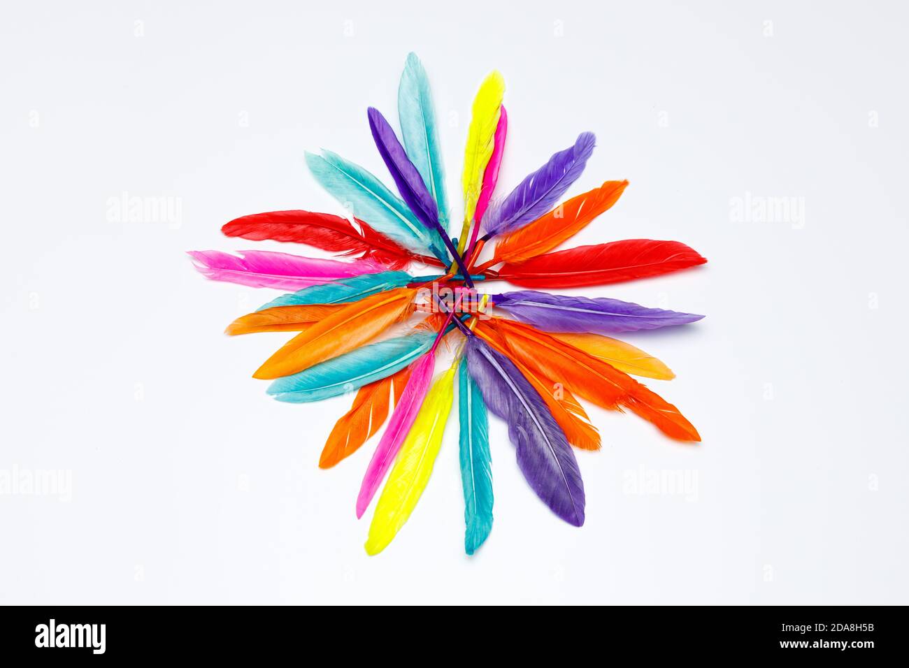 Colored feathers on white background, forming a circle shape or sun ...